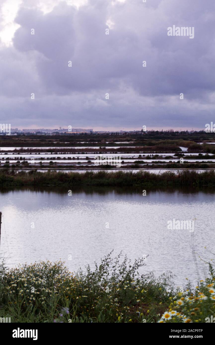 Salt evaporation ponds hi-res stock photography and images - Alamy