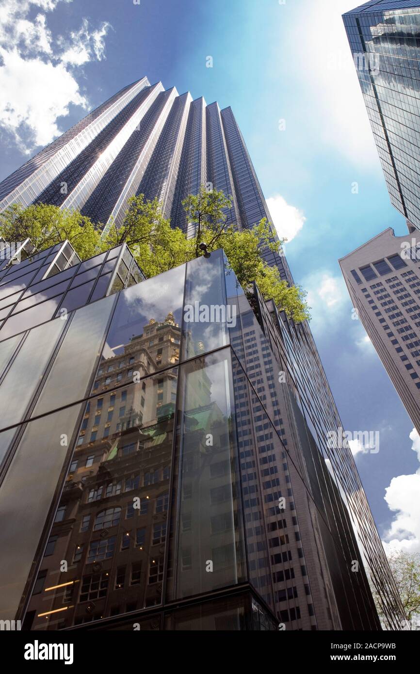 Urban landscaping. Trees growing on a skyscraper Stock Photo - Alamy