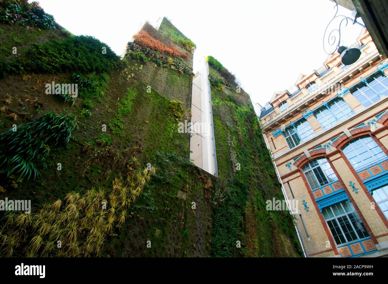 Vertical garden. Also called a green wall, living wall, or biowall ...