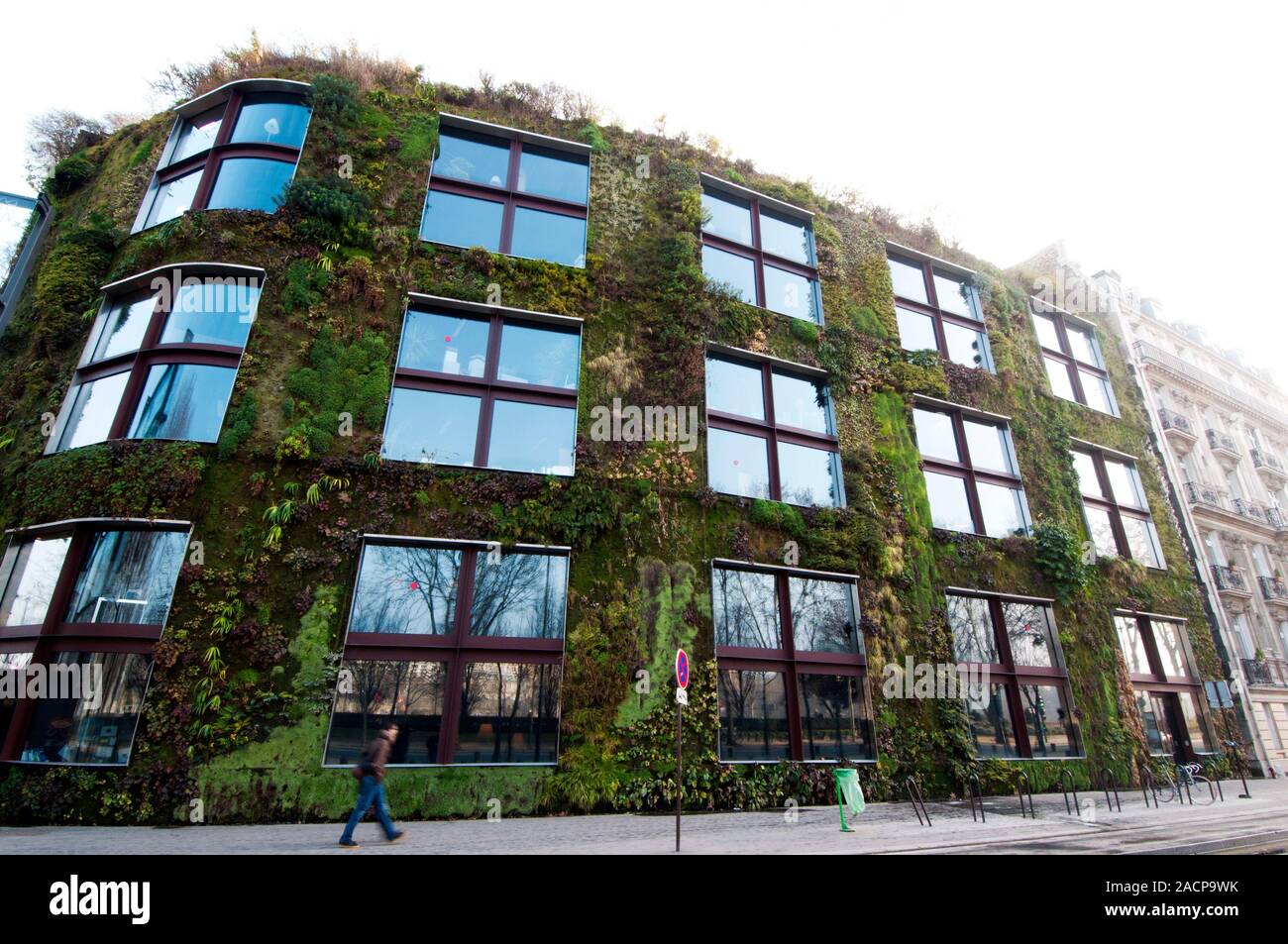 Vertical garden. Also called a green wall, living wall, or biowall ...