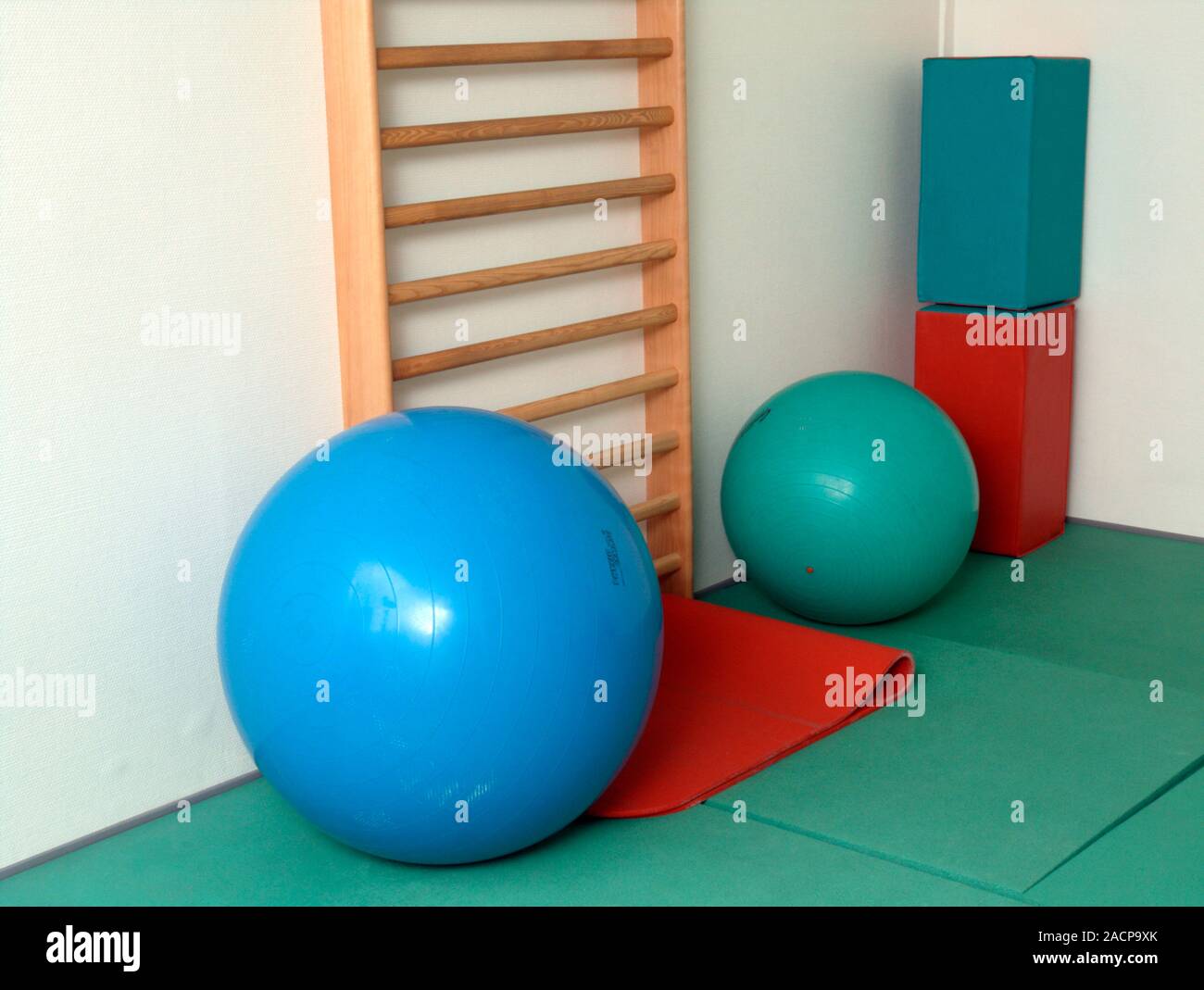 Physiotherapy equipment. These exercise balls, known by a variety of ...