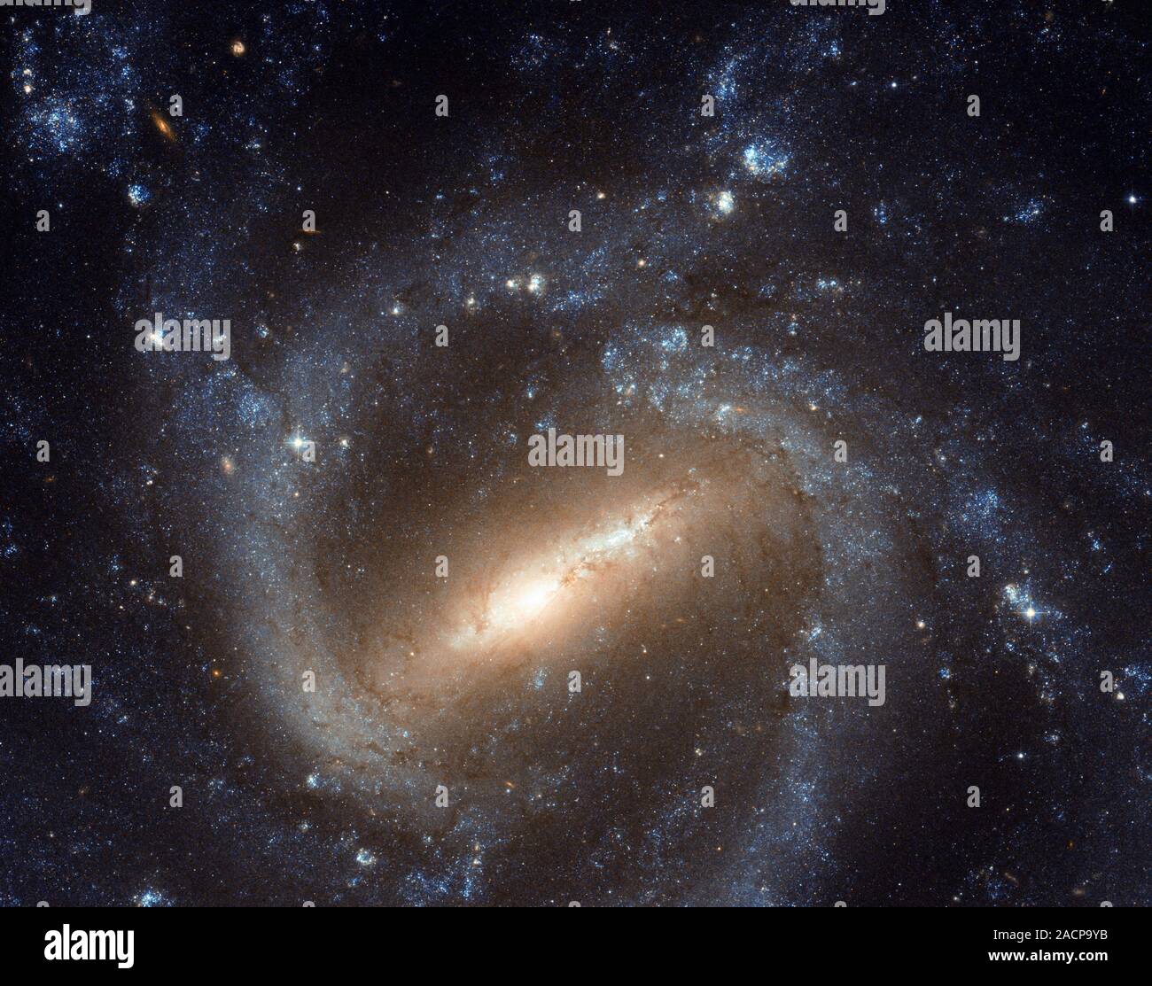 Spiral galaxy NGC 1073, Hubble Space Telescope (HST) image. Optical ...