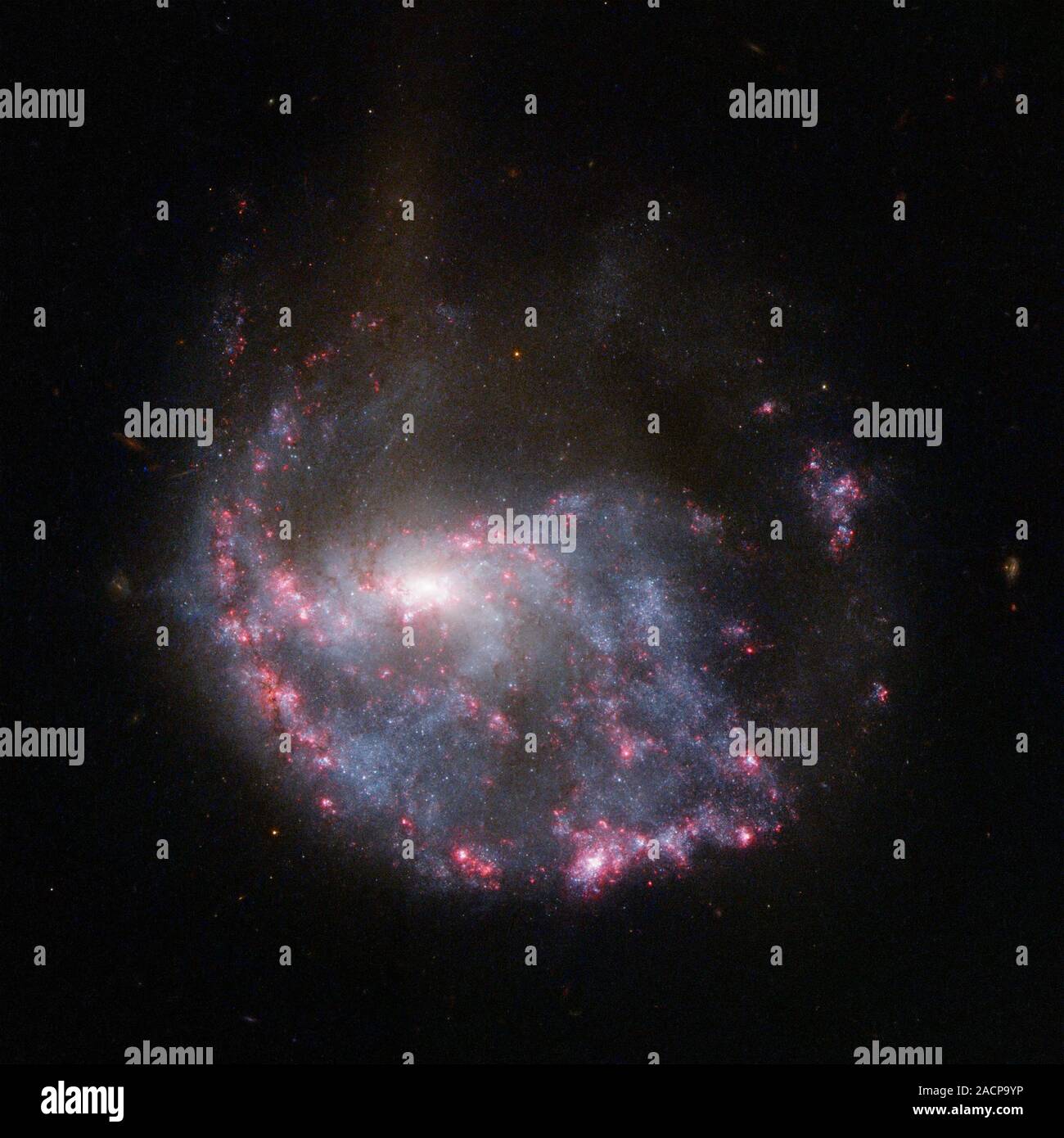 Spiral galaxy NGC 922, Hubble Space Telescope (HST) image. Combined ...