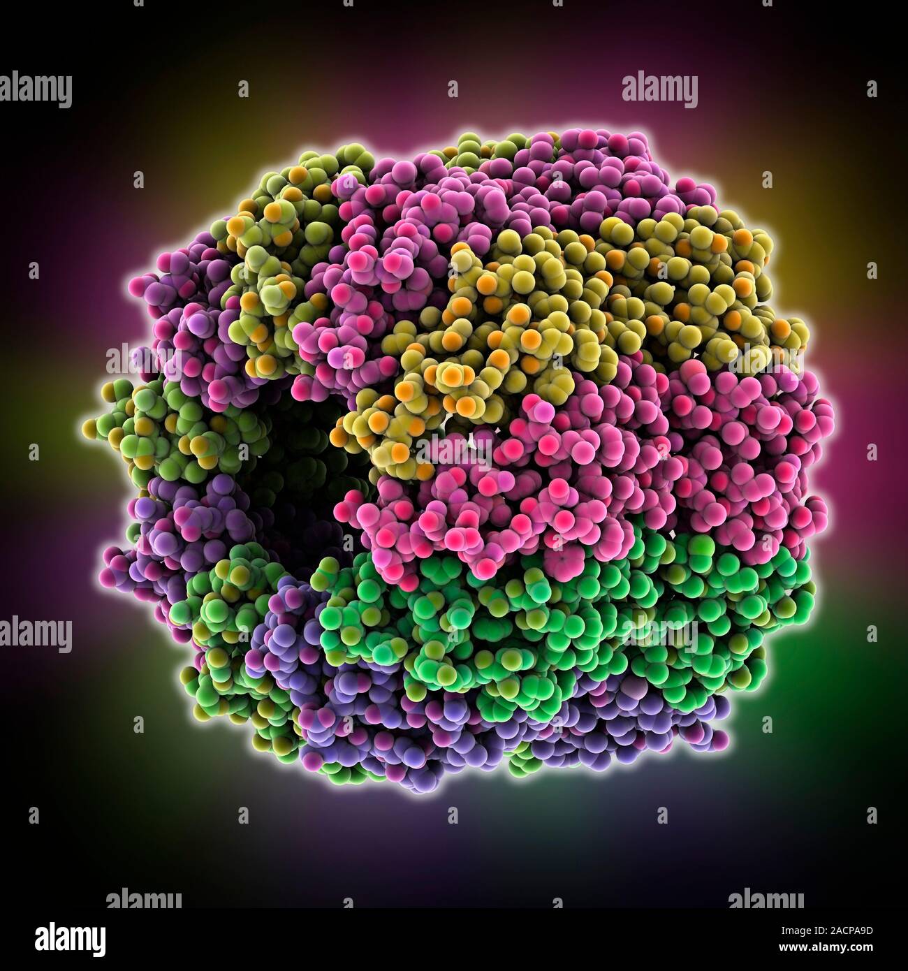 Sodium V-ATPase rotor ring, molecular model. V-ATPases (vacuolar-type ...