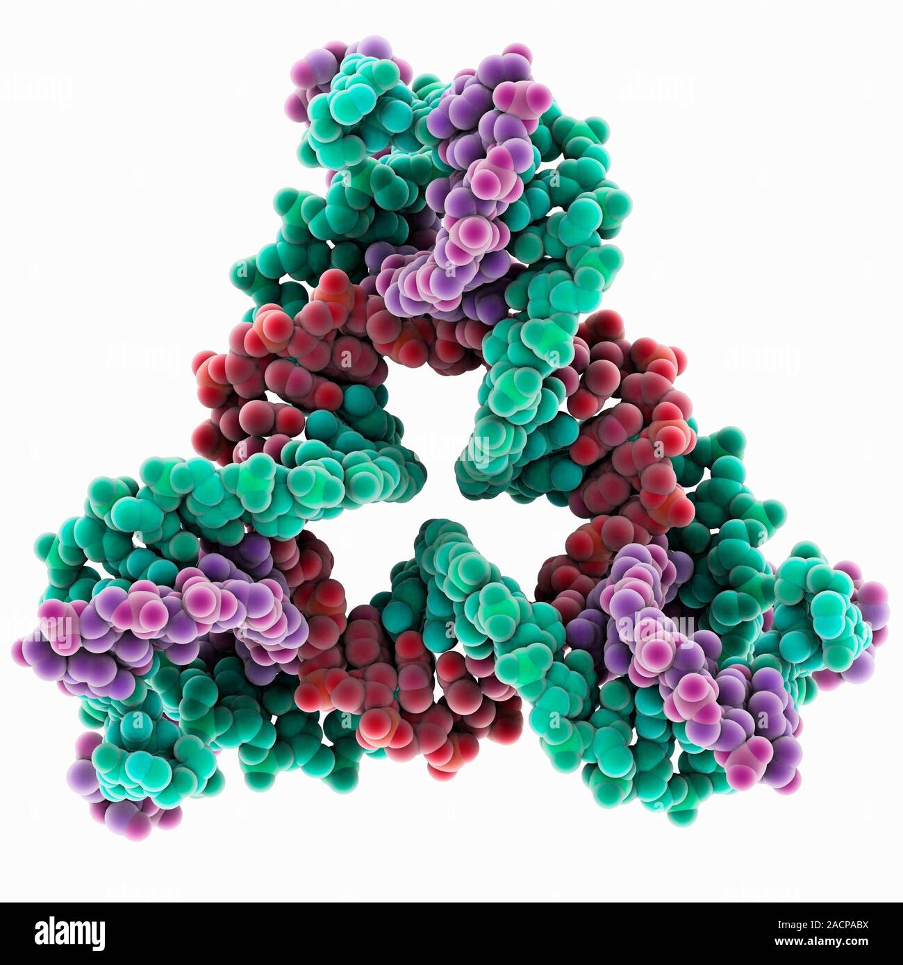 Self-assembled DNA triangle. Molecular model of DNA (deoxyribonucleic ...