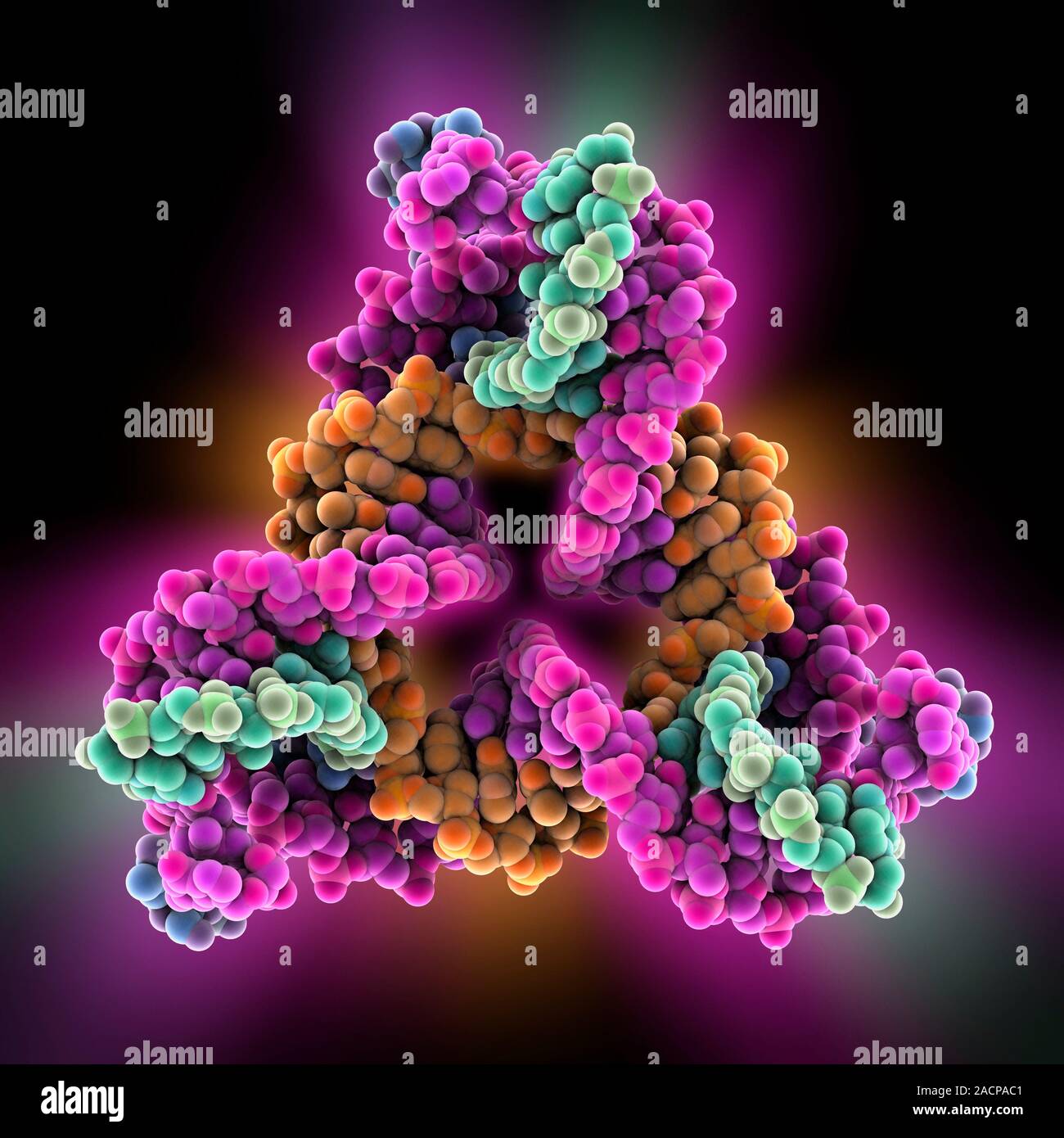 Self-assembled DNA triangle. Molecular model of DNA (deoxyribonucleic ...