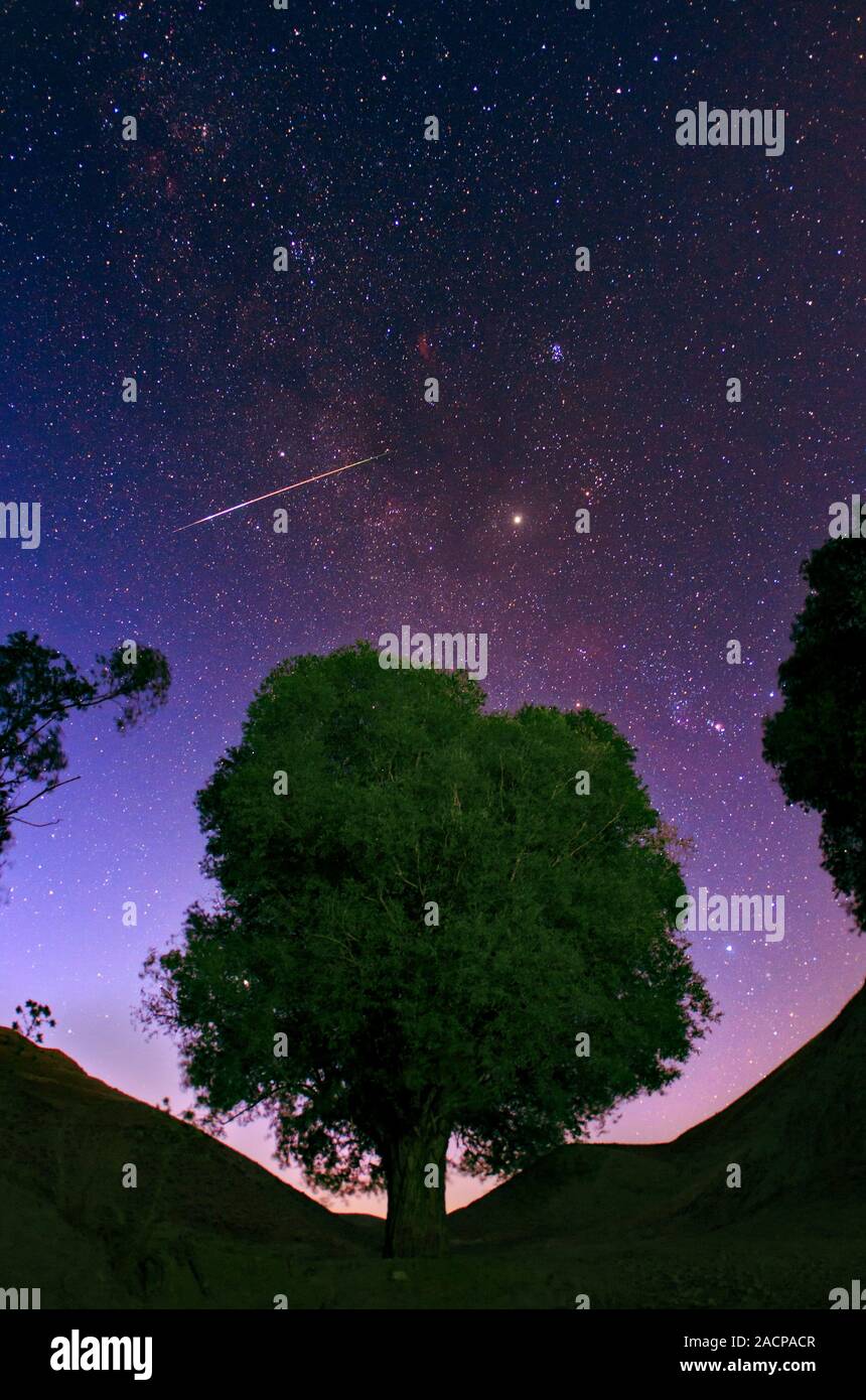 Shooting star. View of a meteor track over trees at dawn. The bright ...
