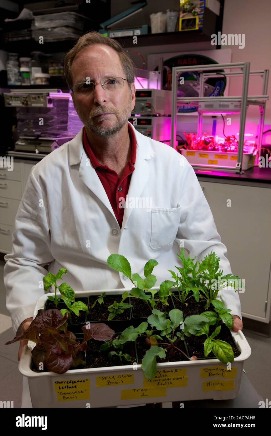 Plant growth in space research. Researcher with a tray of herbs and ...