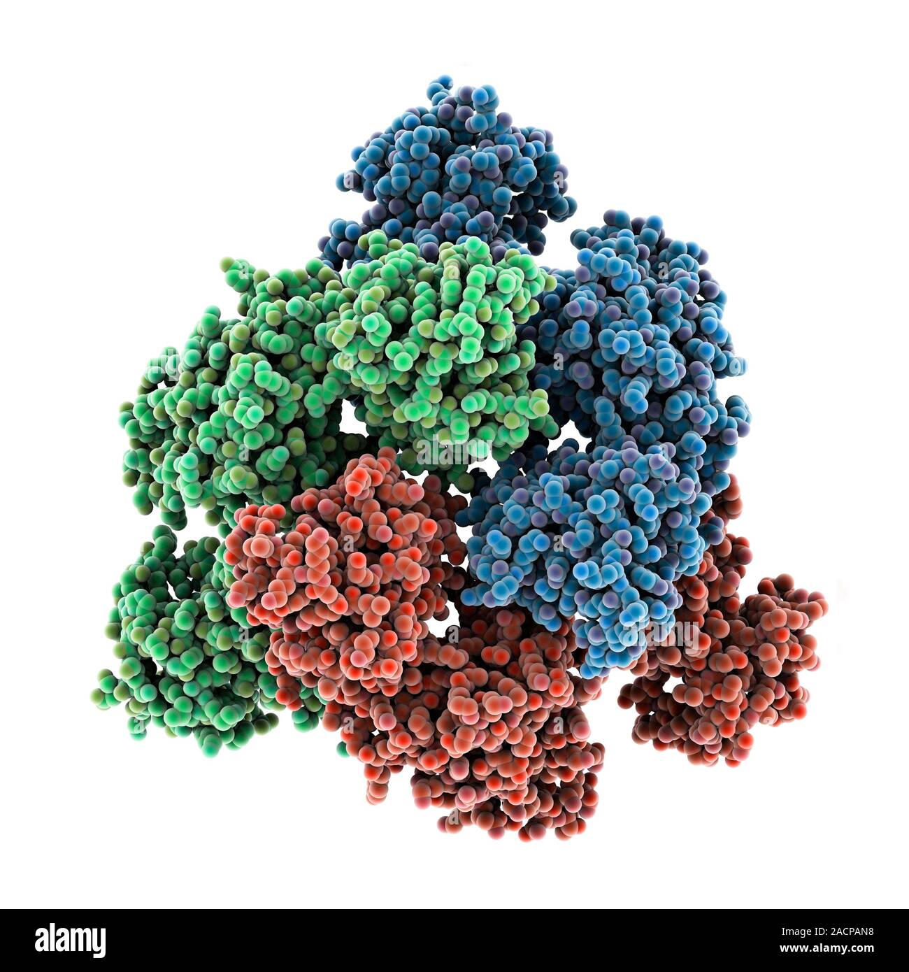 Anthrax oedema factor. Molecular model of oedema factor (EF) from the ...