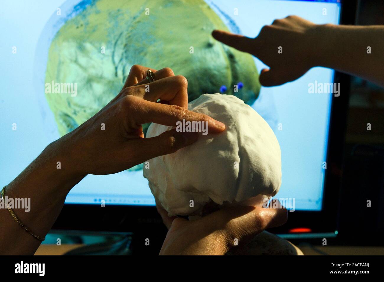 Cro-Magnon 1 research. Researchers handling an endocast of the Cro ...