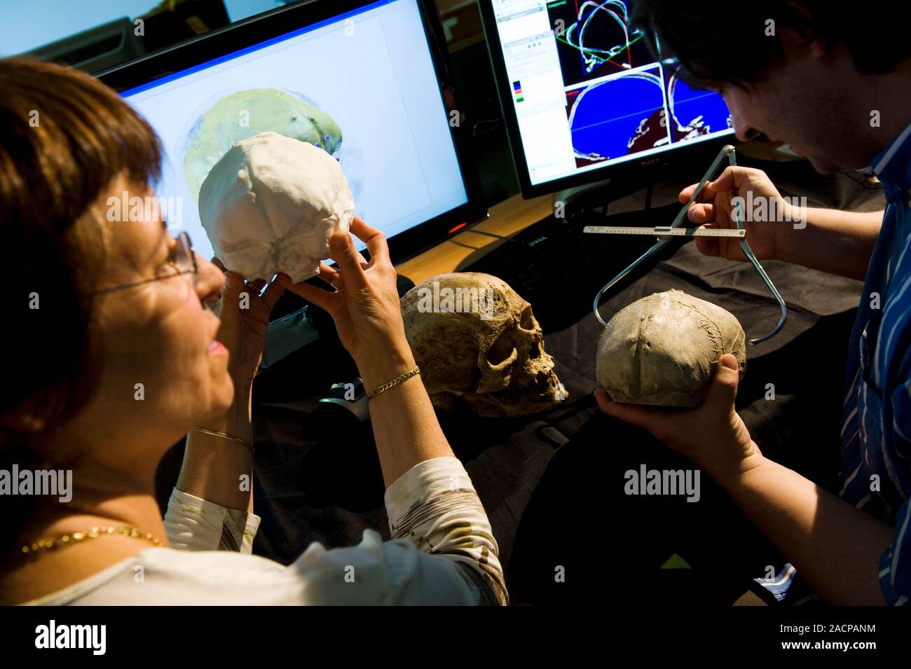 Cro-Magnon 1 research. Researchers handling an endocast of the Cro ...