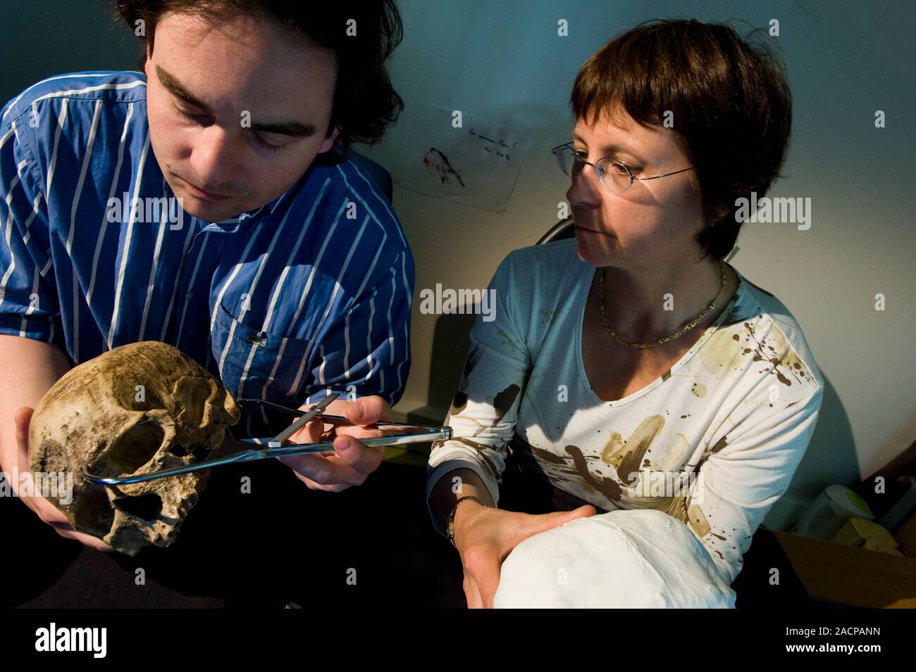 Cro-Magnon 1 research. Researchers handling an endocast of the Cro ...