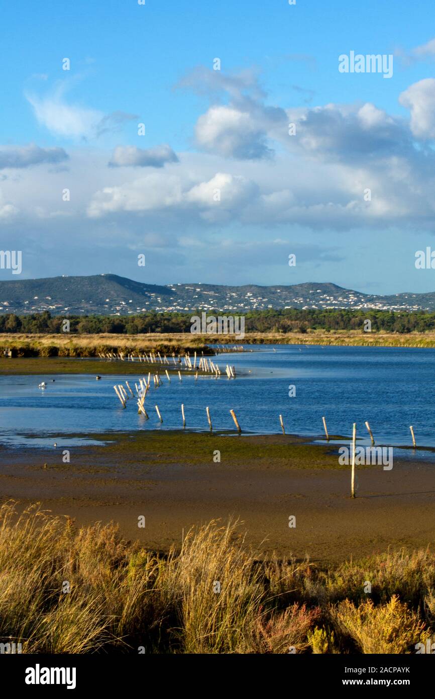 Beautiful marshlands hi-res stock photography and images - Alamy