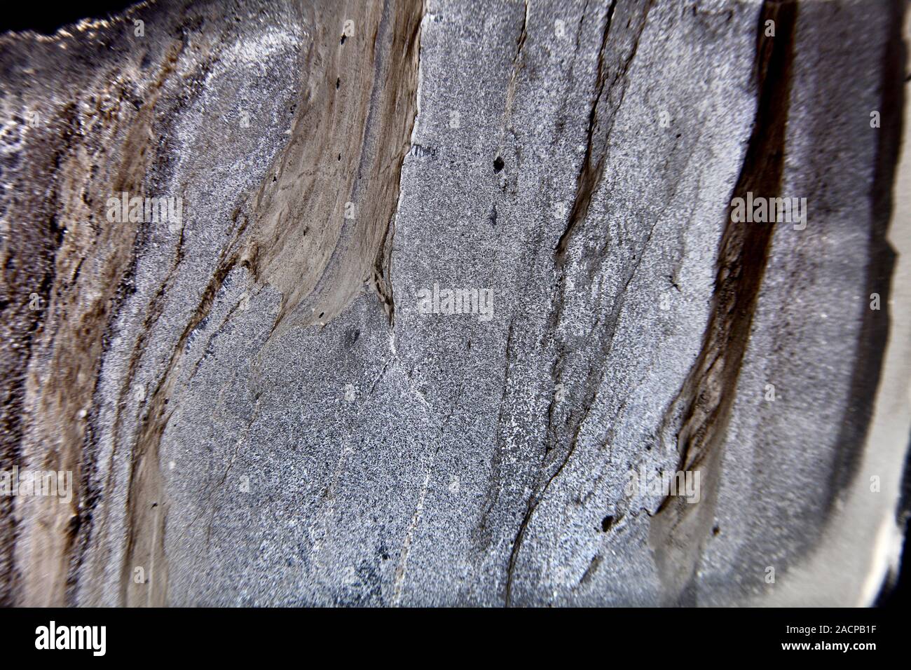 Slate sample, light micrograph. Slate is a fine-grained metamorphic ...