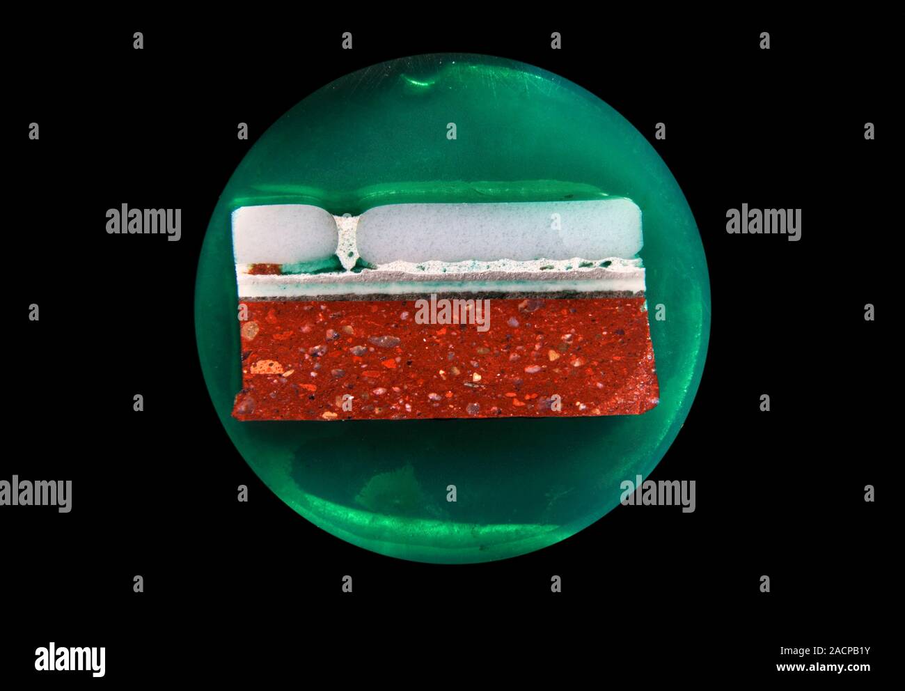 Brick bonded to glass. Light micrograph of a section through red brick ...