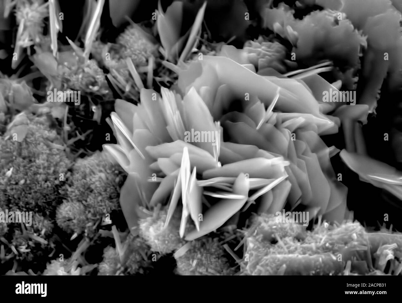 Calcium aluminate crystals. Scanning electron microscope of a sample of ...