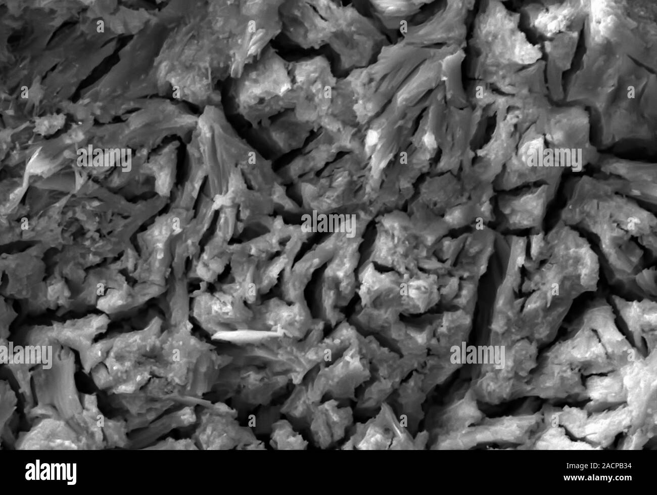 Damaged concrete. Scanning electron microscope of cracks in a sample of ...