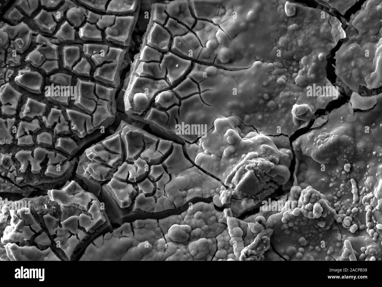 Damaged concrete. Scanning electron microscope of cracks in a sample of ...