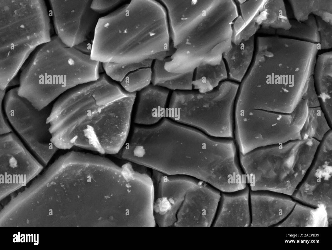 Damaged concrete. Scanning electron microscope of cracks in a sample of ...