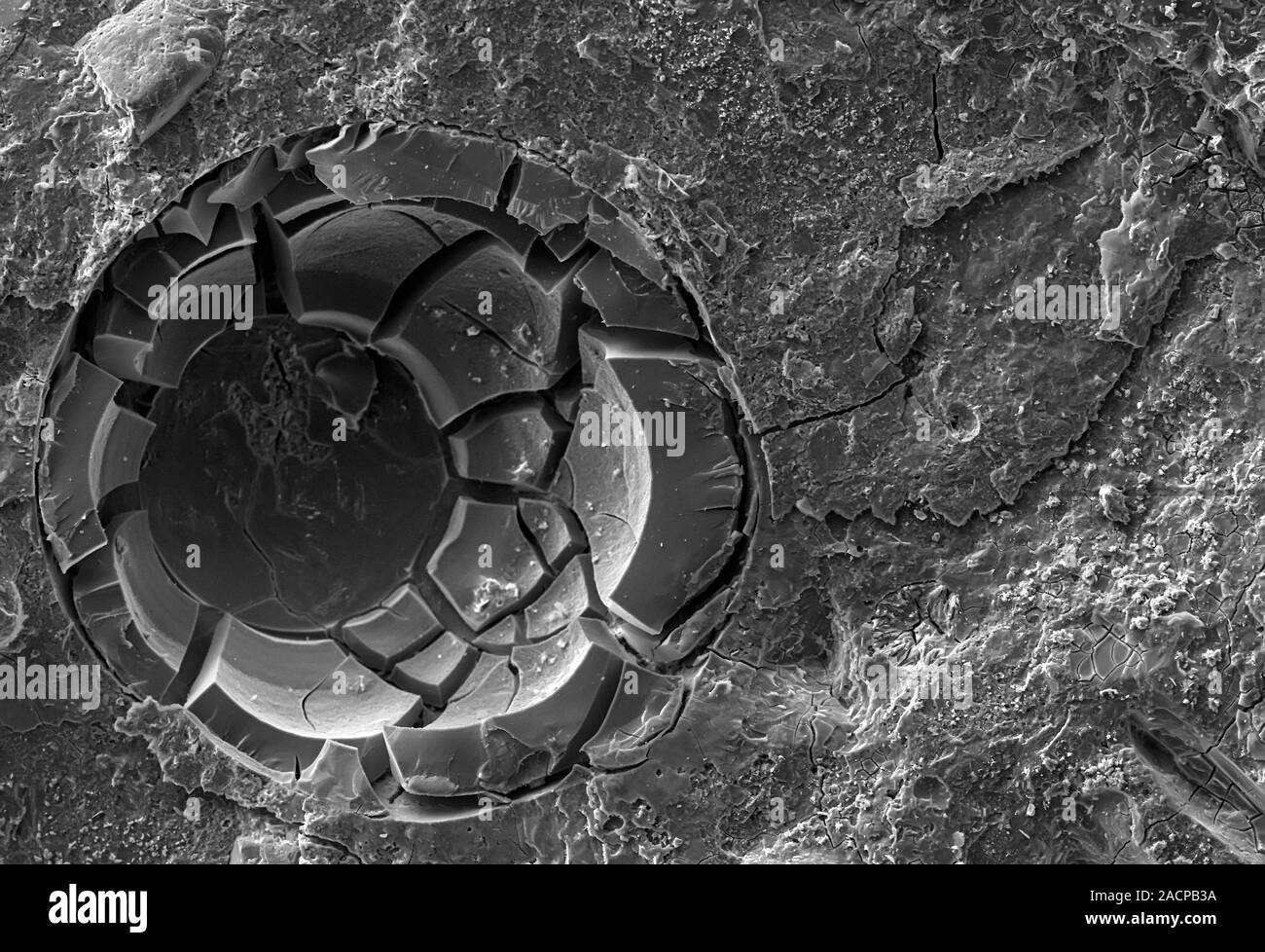 Damaged concrete. Scanning electron microscope of cracks that have ...