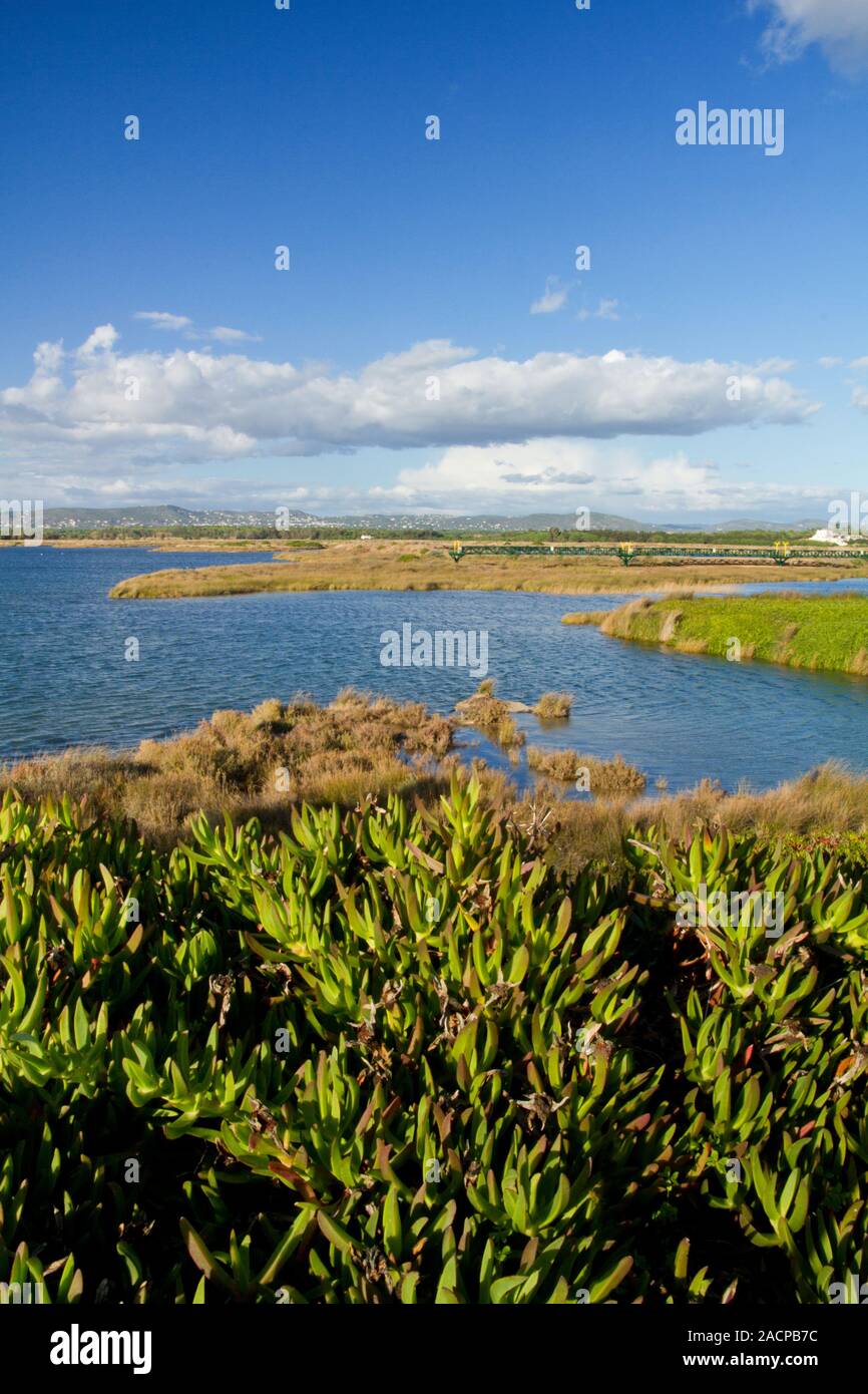 Beautiful marshlands hi-res stock photography and images - Alamy