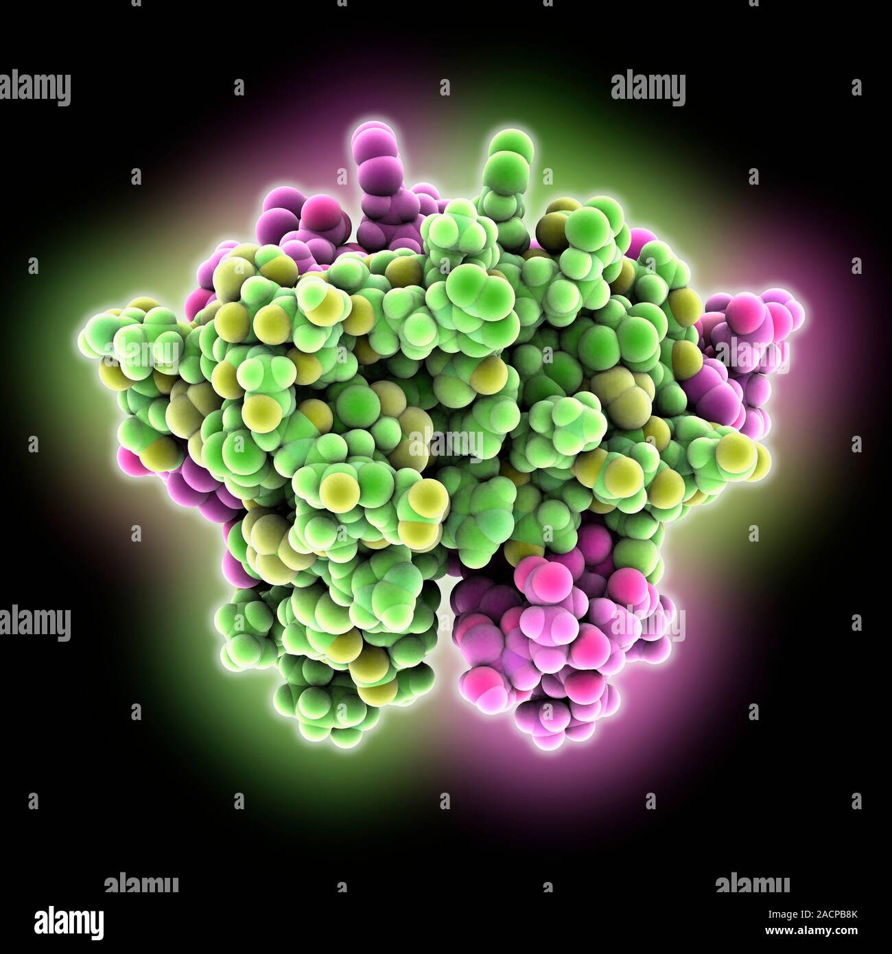 Influenza A non-structural-protein 1 (ns1), molecular model. This RNA ...