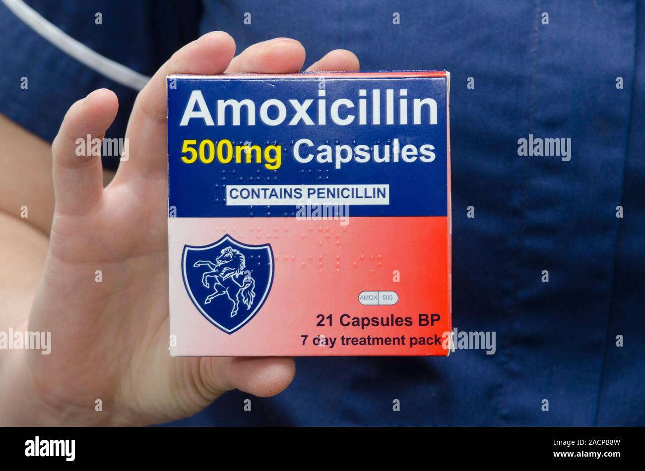 Pack of Amoxicillin capsules, an antibiotic drug containing penicillin, used to treat bacterial ...