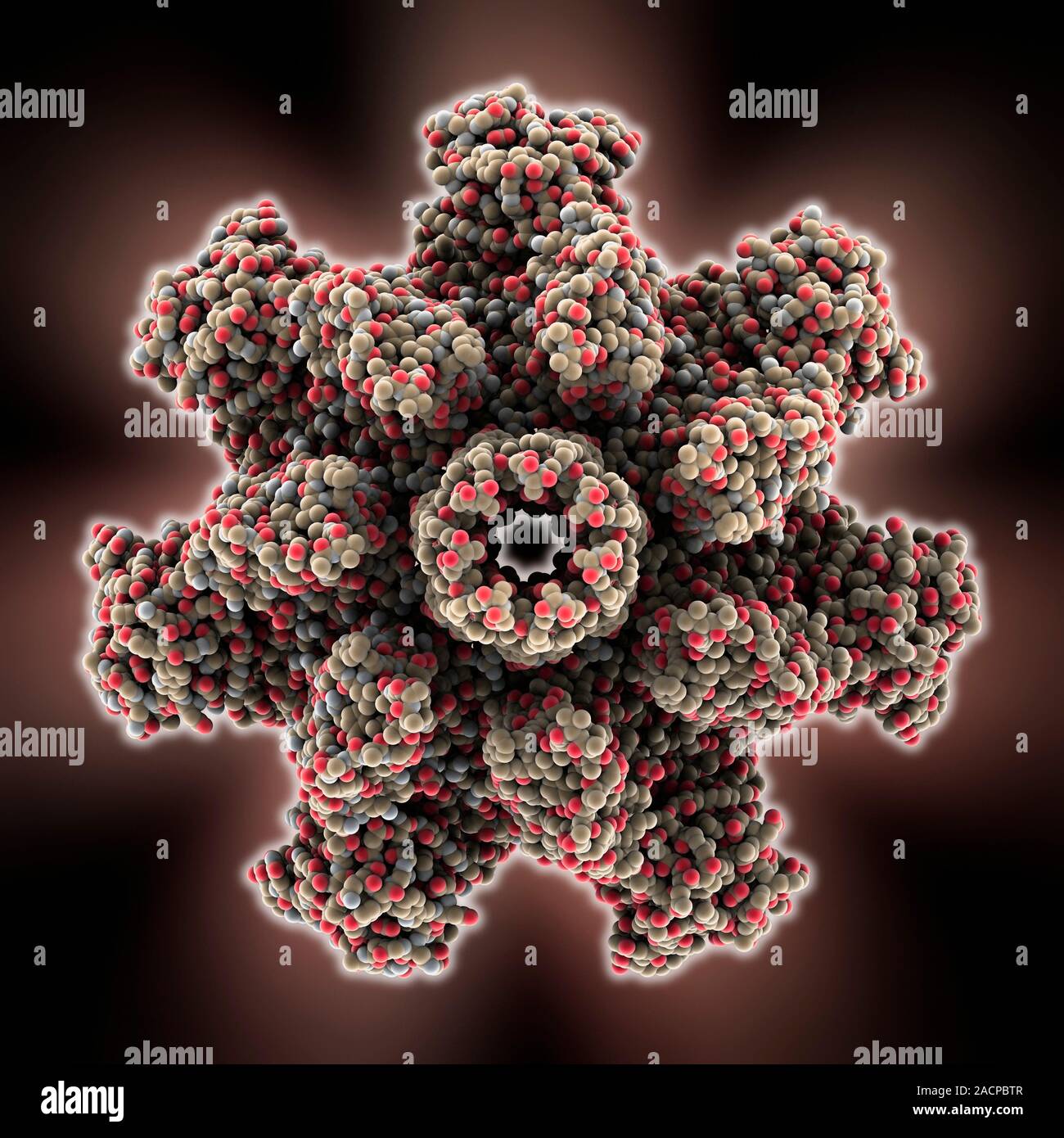 Cholera cytolysin cell toxin, molecular model. This is the Vibrio ...