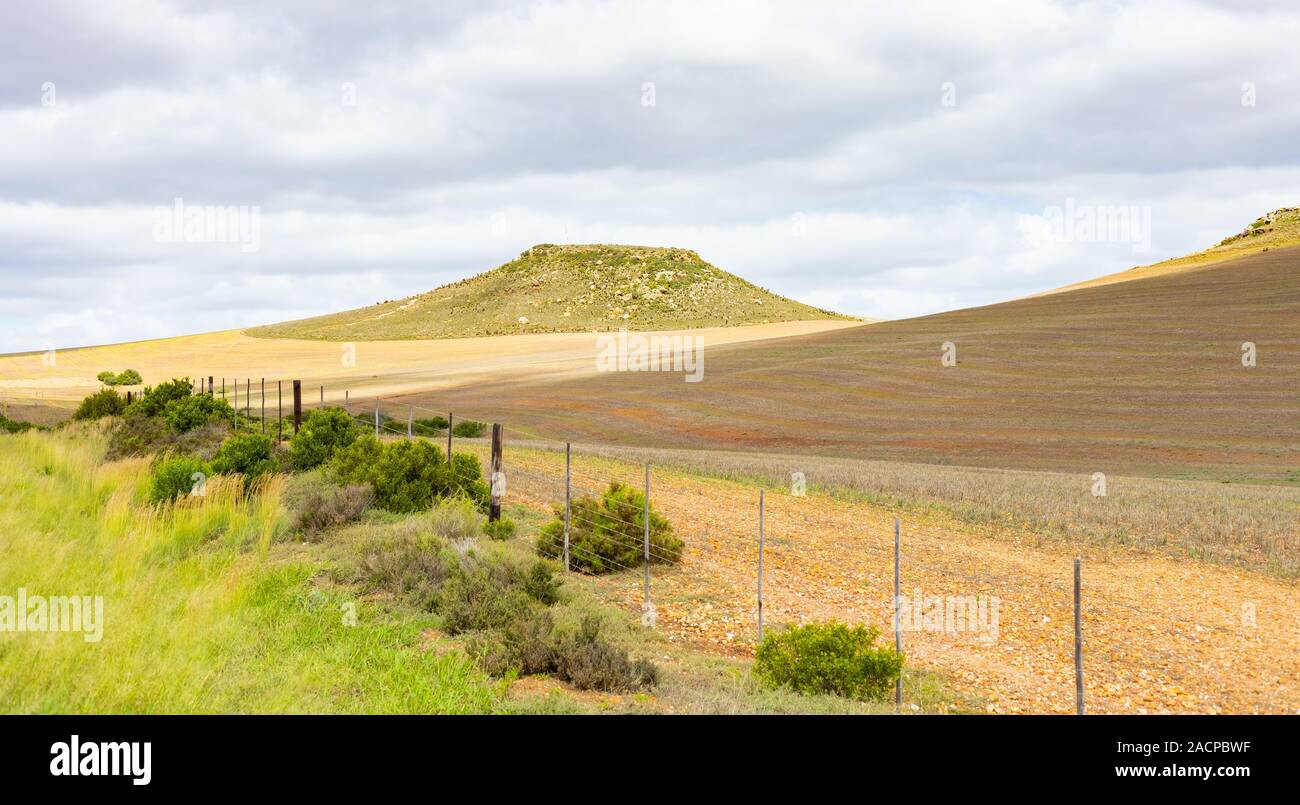 Rural Grassland Farming Area of the Karoo Semi-desert in South Africa ...