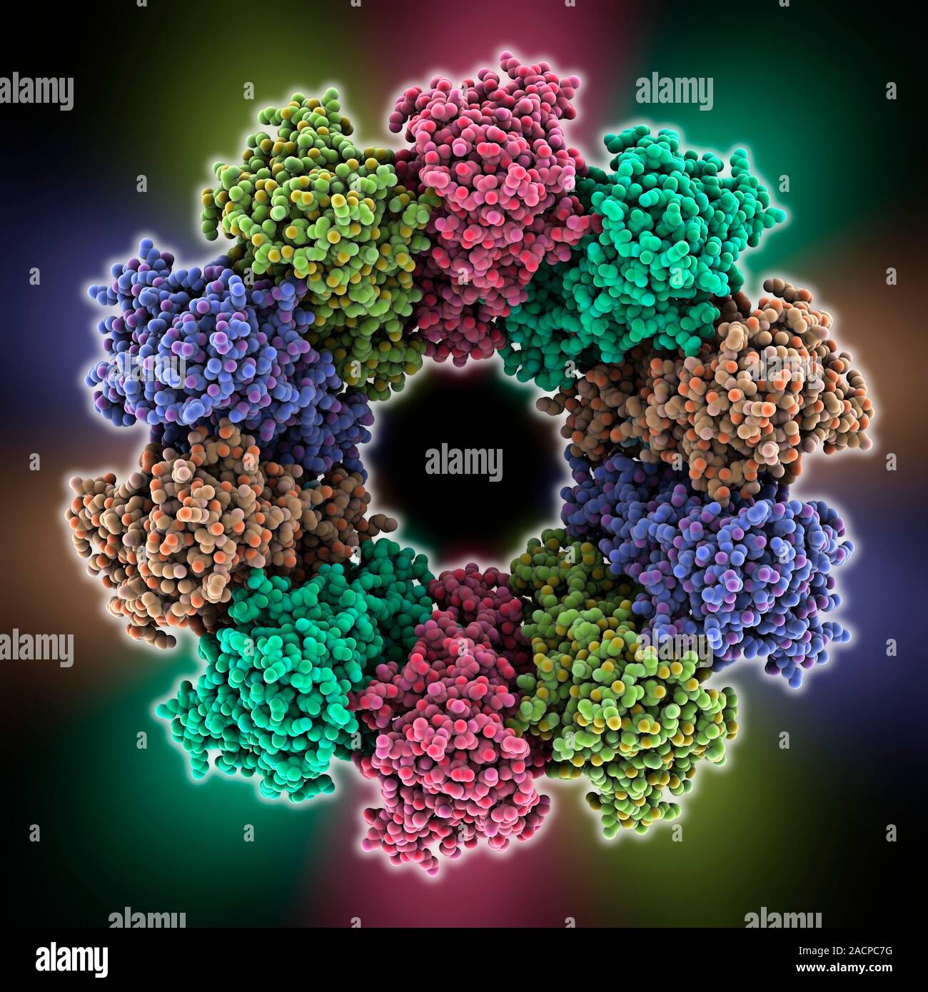 VSIV virus protein complex, molecular model. This decameric (10-part ...