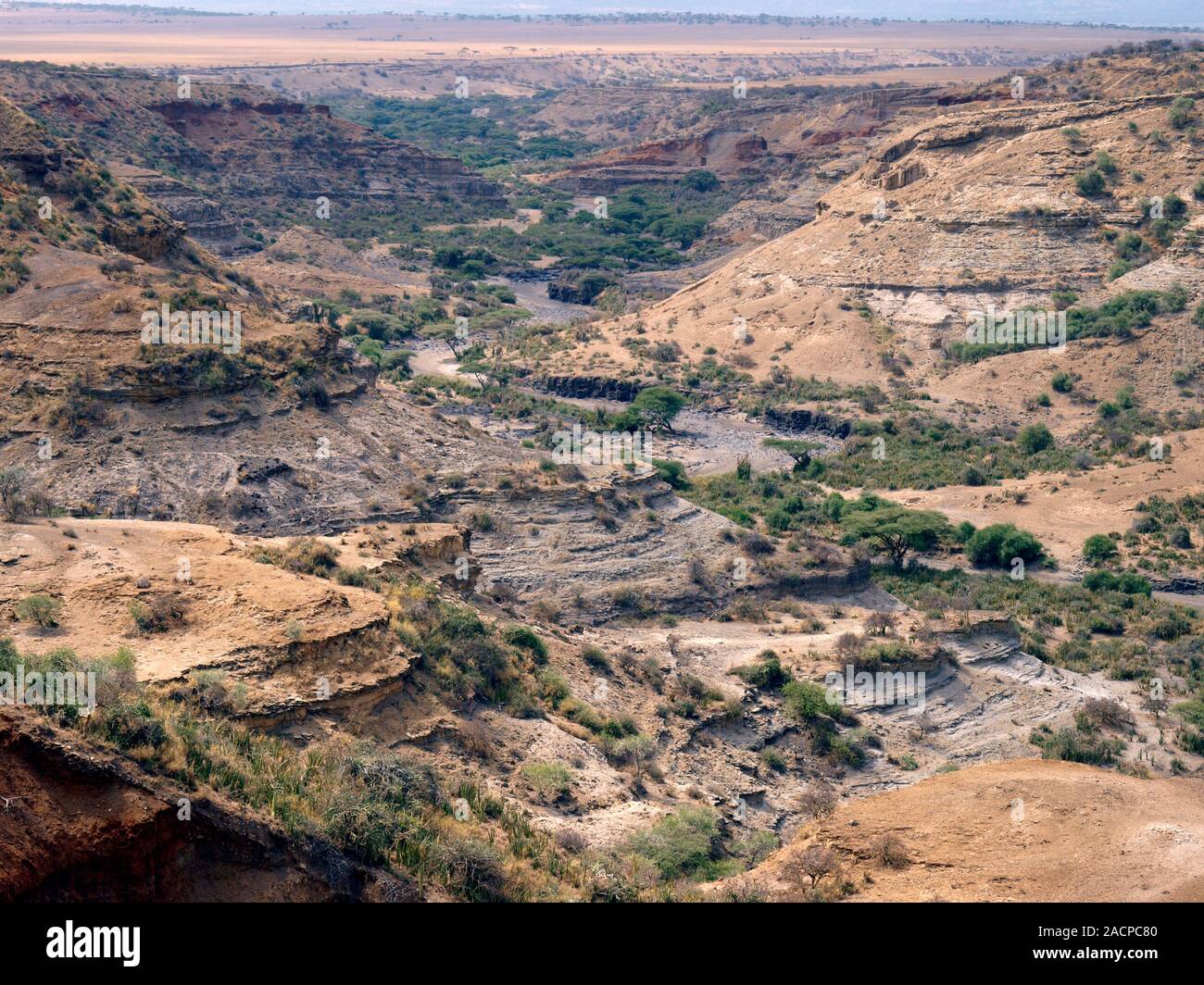 Olduvai Gorge, Tanzania. This gorge (also called Oldupai Gorge) is ...