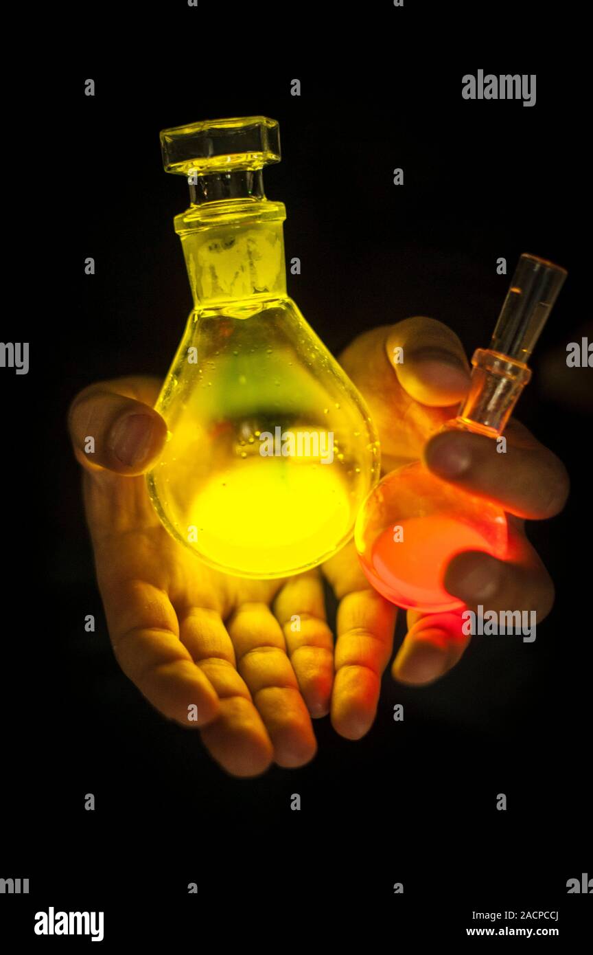 Fluorescent imaging fluids. Lab worker holding flasks of fluorescent ...