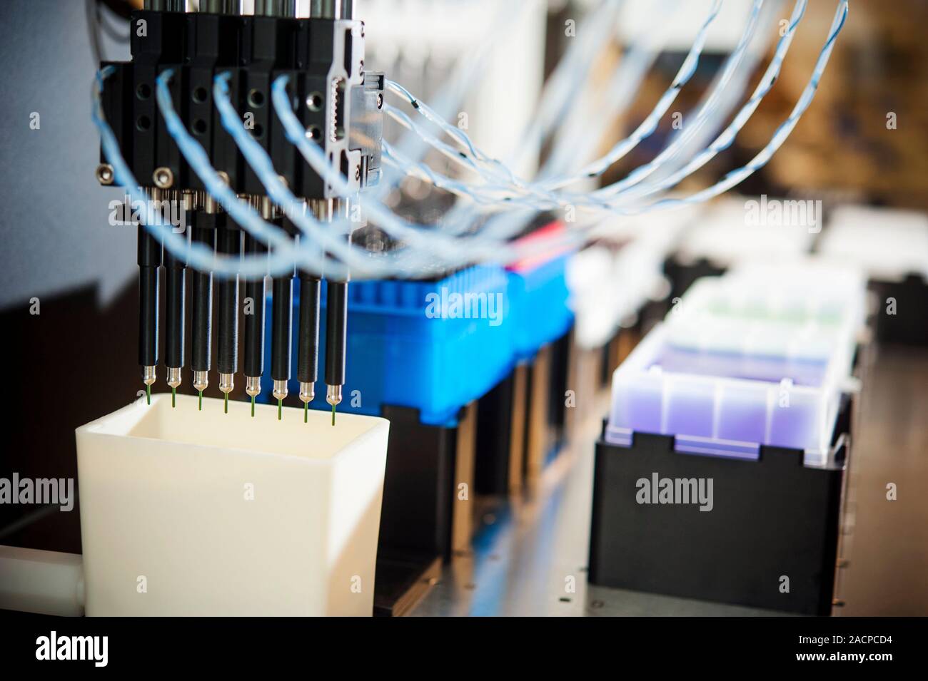 Pipetting robot in a lab. Close-up of the pipettes in a robotic ...