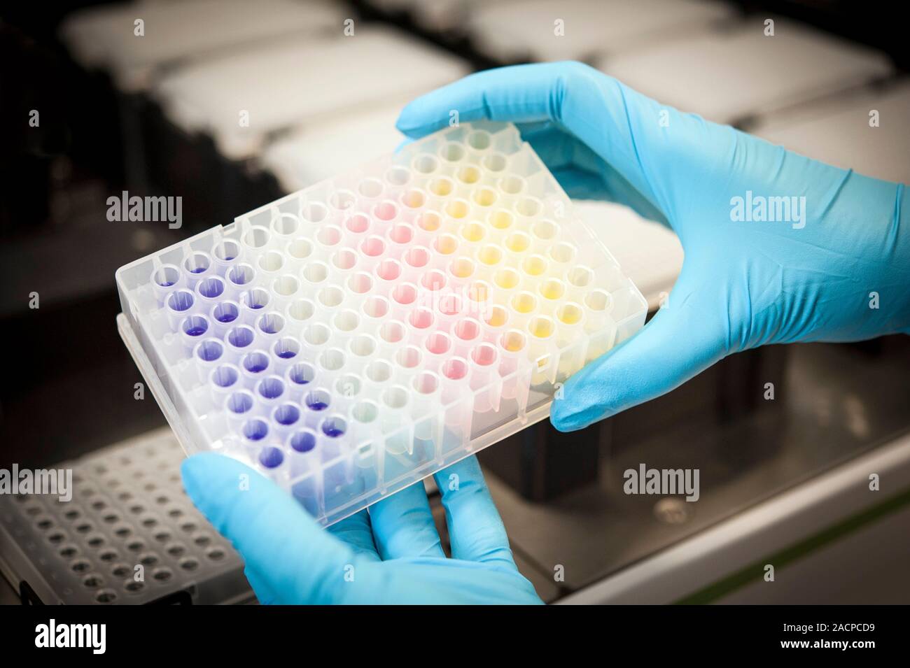 Pipetting robot in a lab. Close-up of a technician holding a multi-well ...