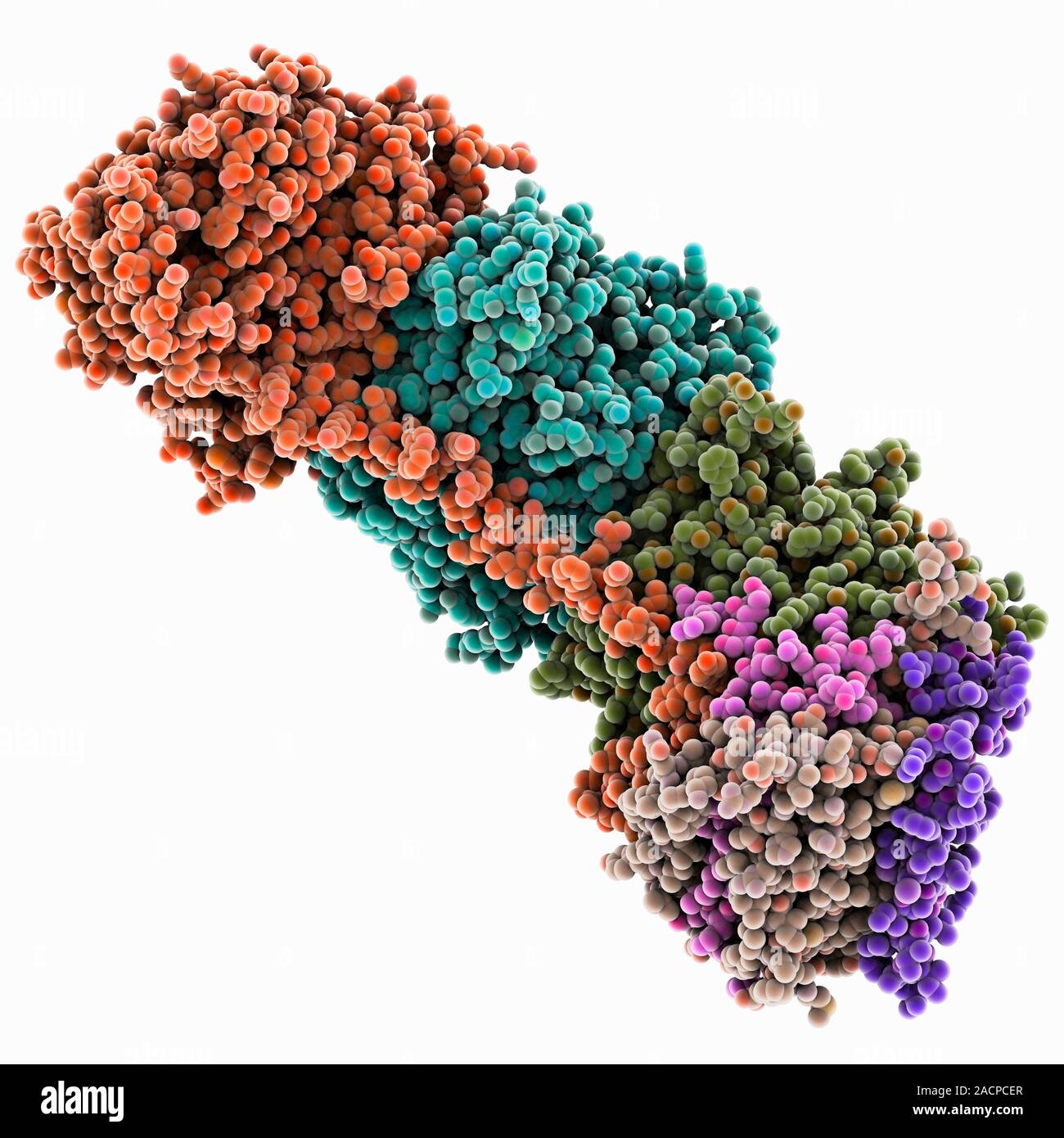 What Are Membrane Bound Enzymes at Elbert Lough blog