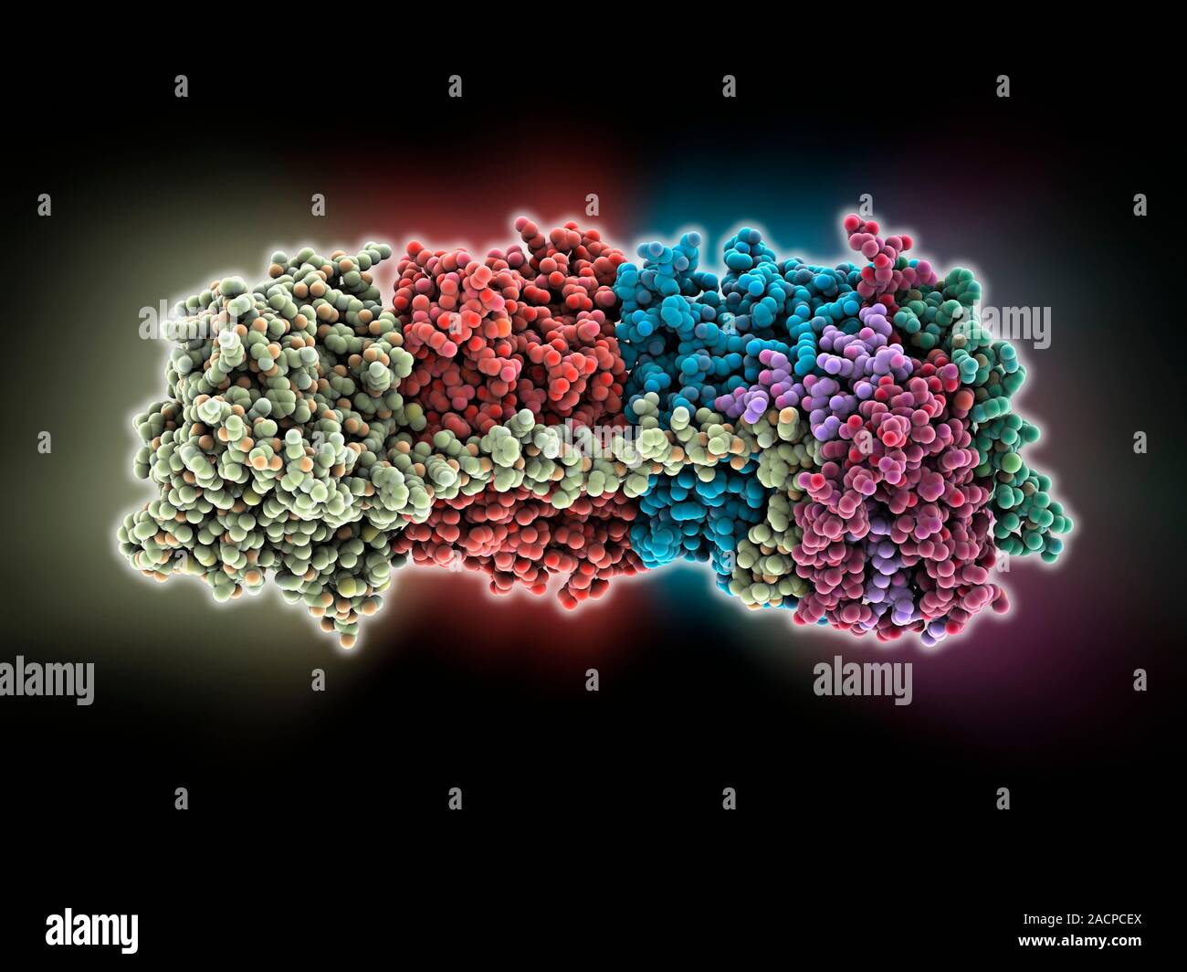 Oxidoreductase enzyme complex, molecular model. This is the membrane ...