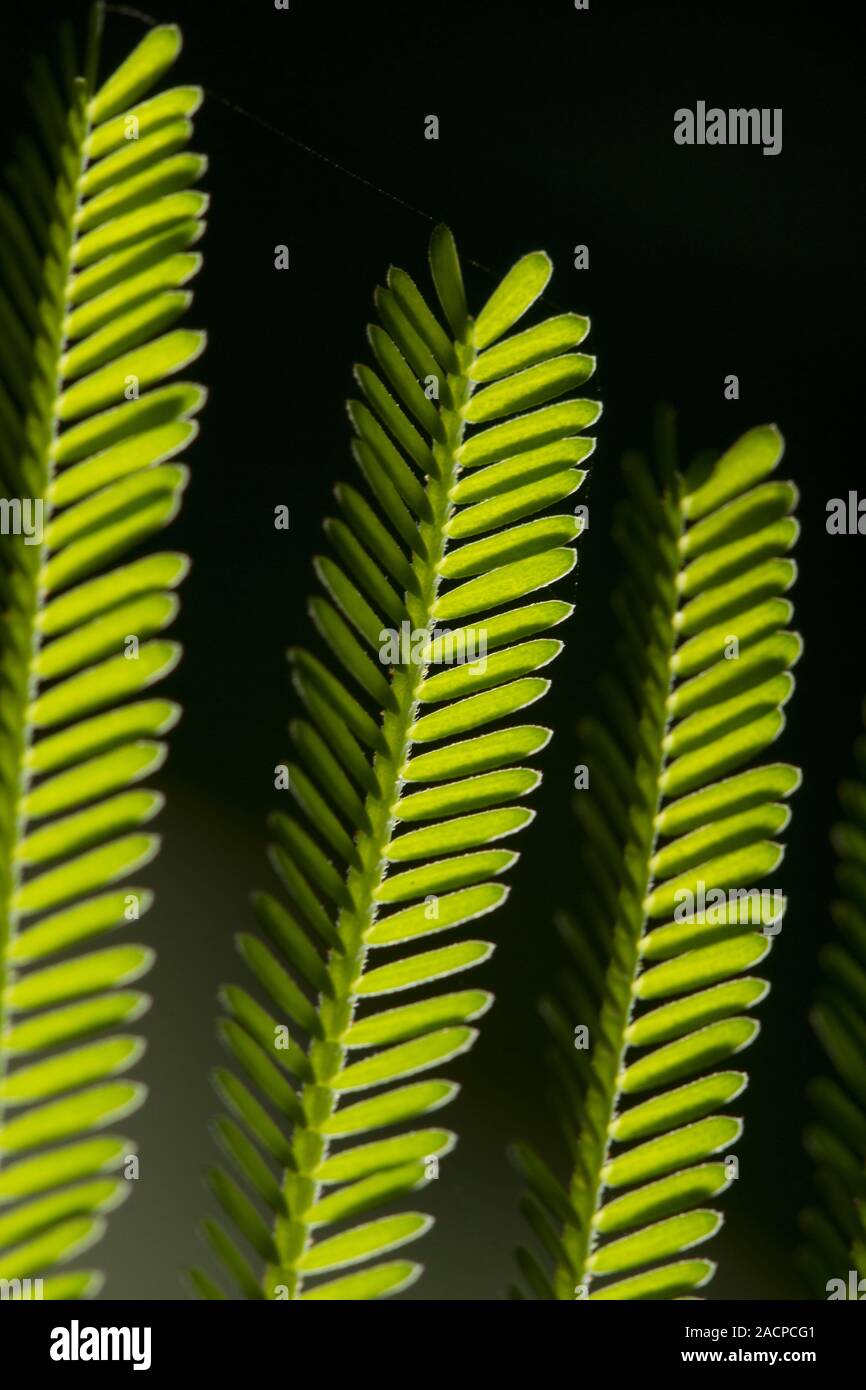 Beautiful lines hi-res stock photography and images - Alamy