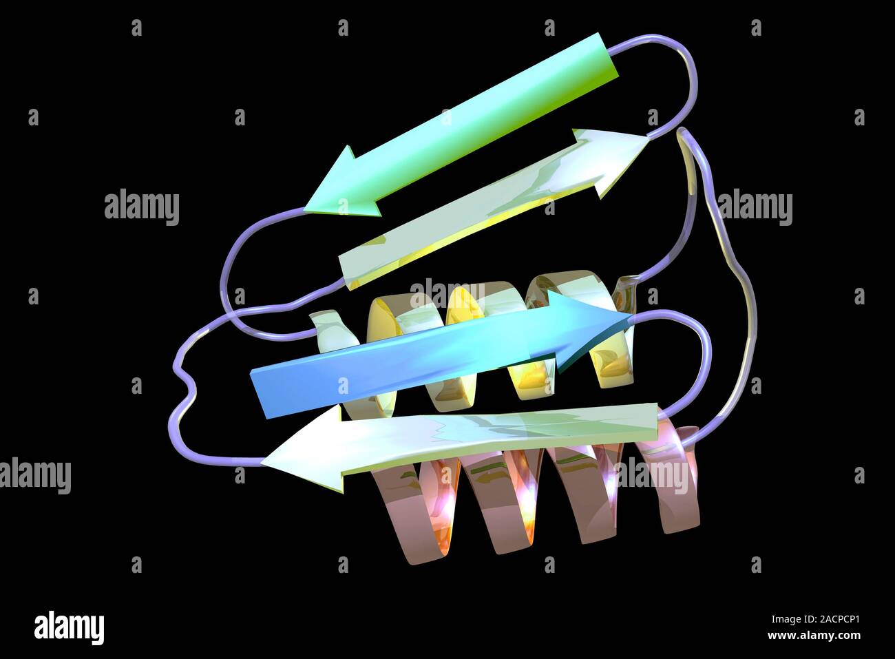 Human prion protein molecule. Computer model showing the secondary ...