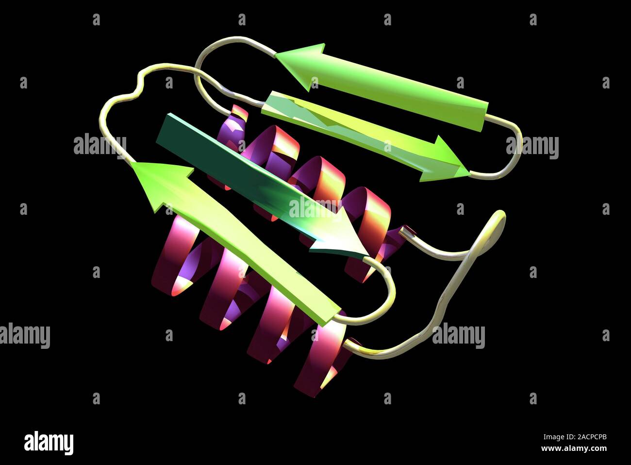 Human prion protein molecule. Computer model showing the secondary ... Human prion protein molecule. Computer model showing the secondary ...