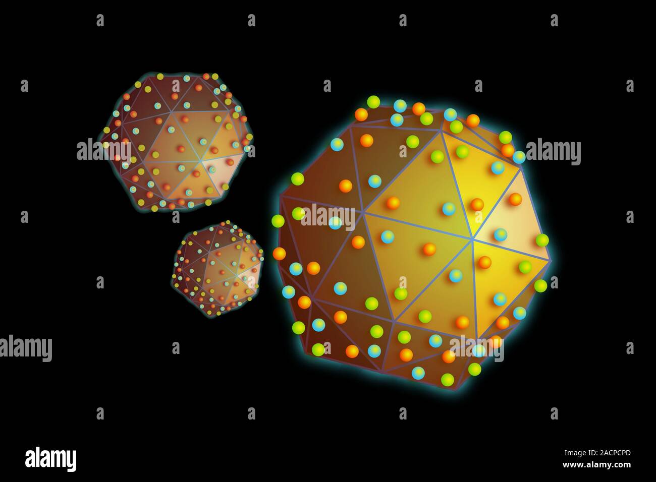 Foot-and-mouth disease virus. Computer artwork of foot-and-mouth ...