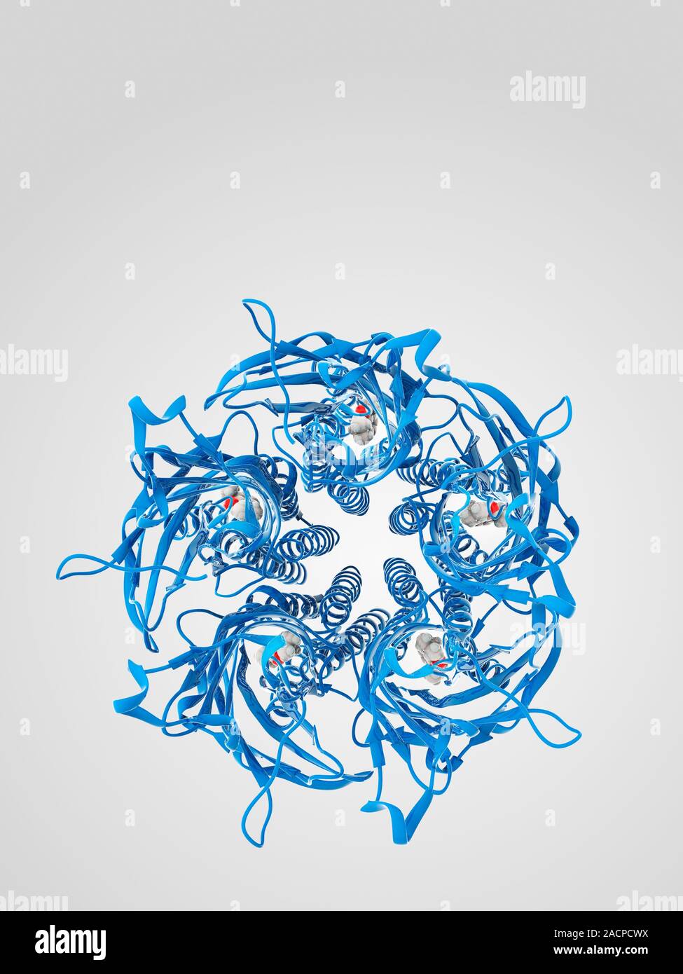 Anaesthetic inhibiting an ion channel. Computer model showing the ...