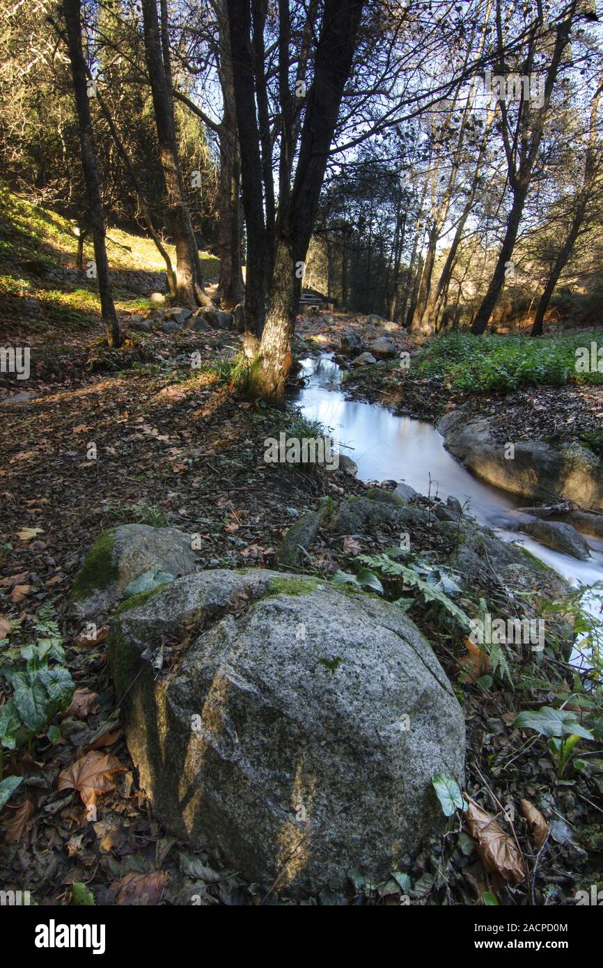 fresh flowing creek Stock Photo - Alamy