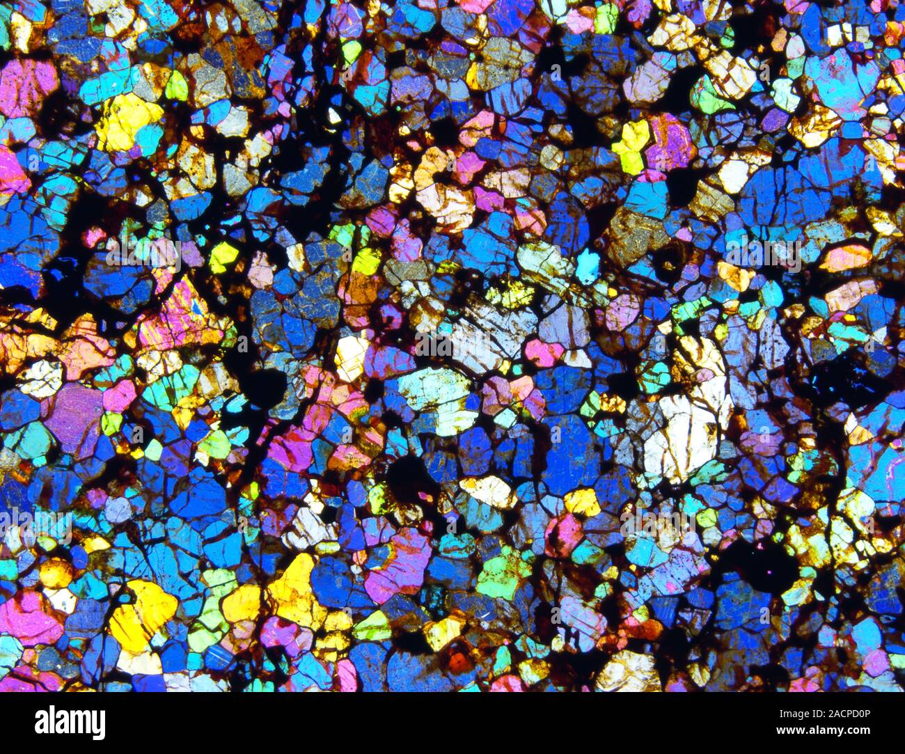 Polarised light micrograph of a thin section microscopic slide of the ...