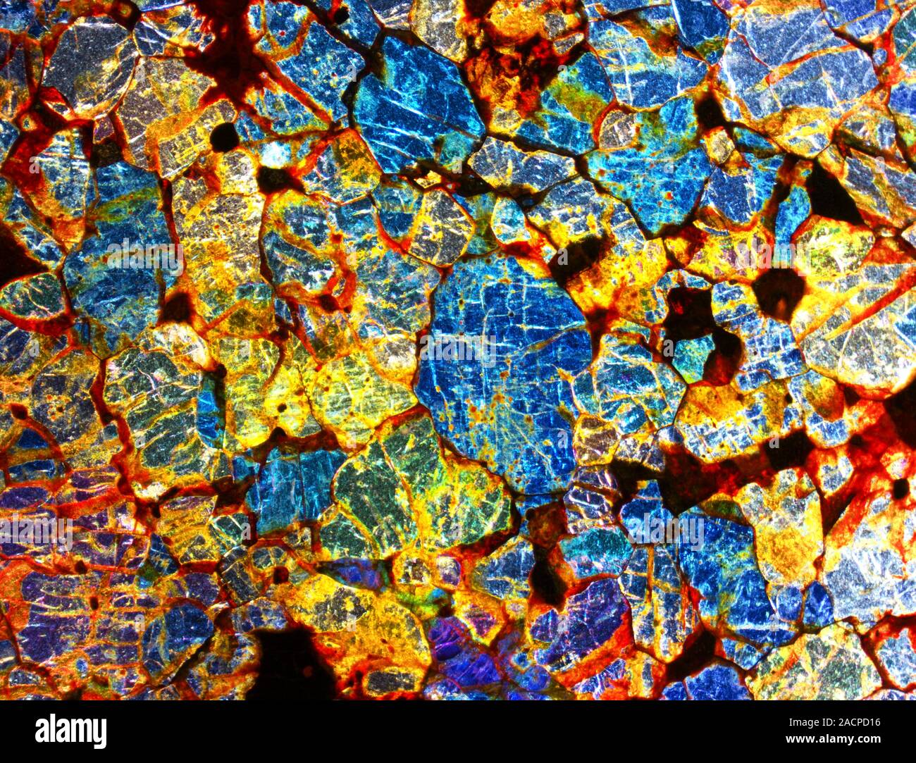 Polarised light micrograph of a thin section microscopic slide of the ...