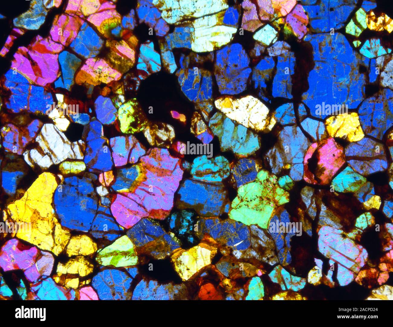 Polarised light micrograph of a thin section microscopic slide of the ...