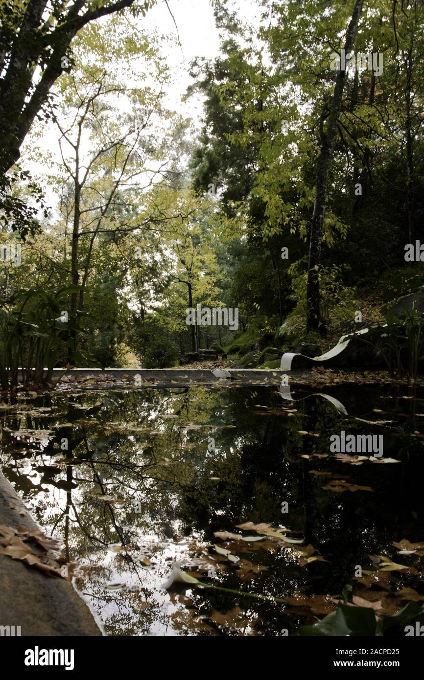 beautiful park with pond Stock Photo - Alamy