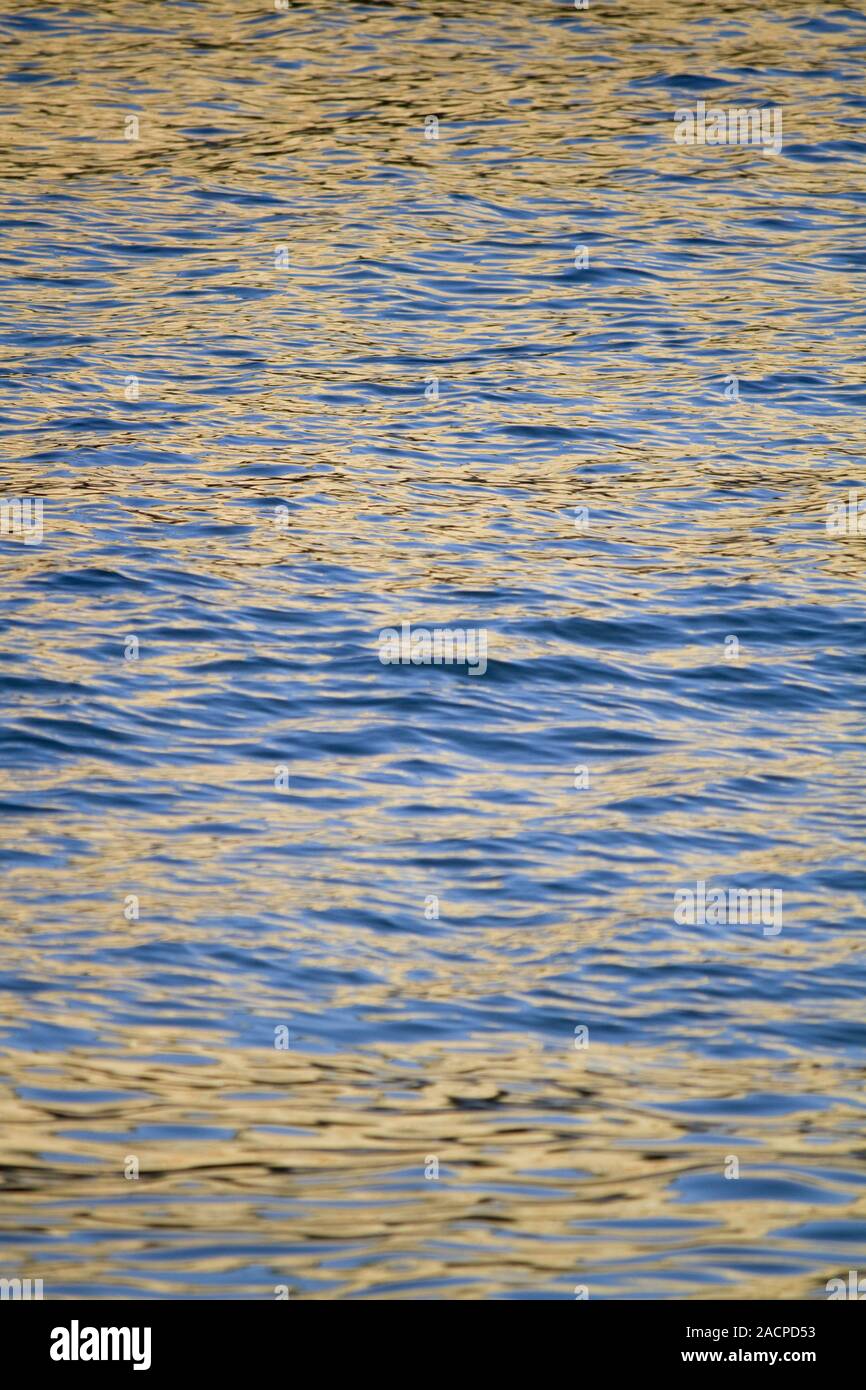 Golden ocean hi-res stock photography and images - Alamy