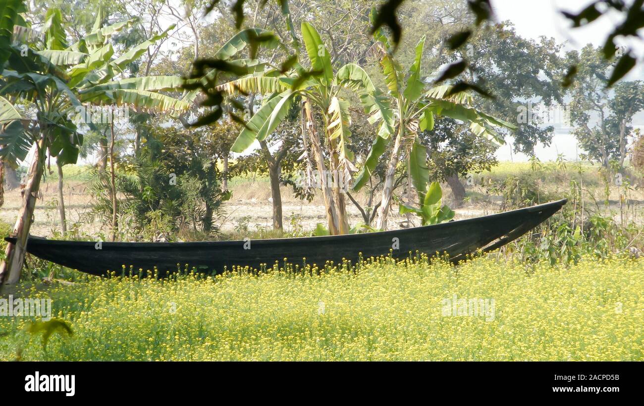 The Old Wooden Canal Boat near saltwater water canal of Ganges river ...
