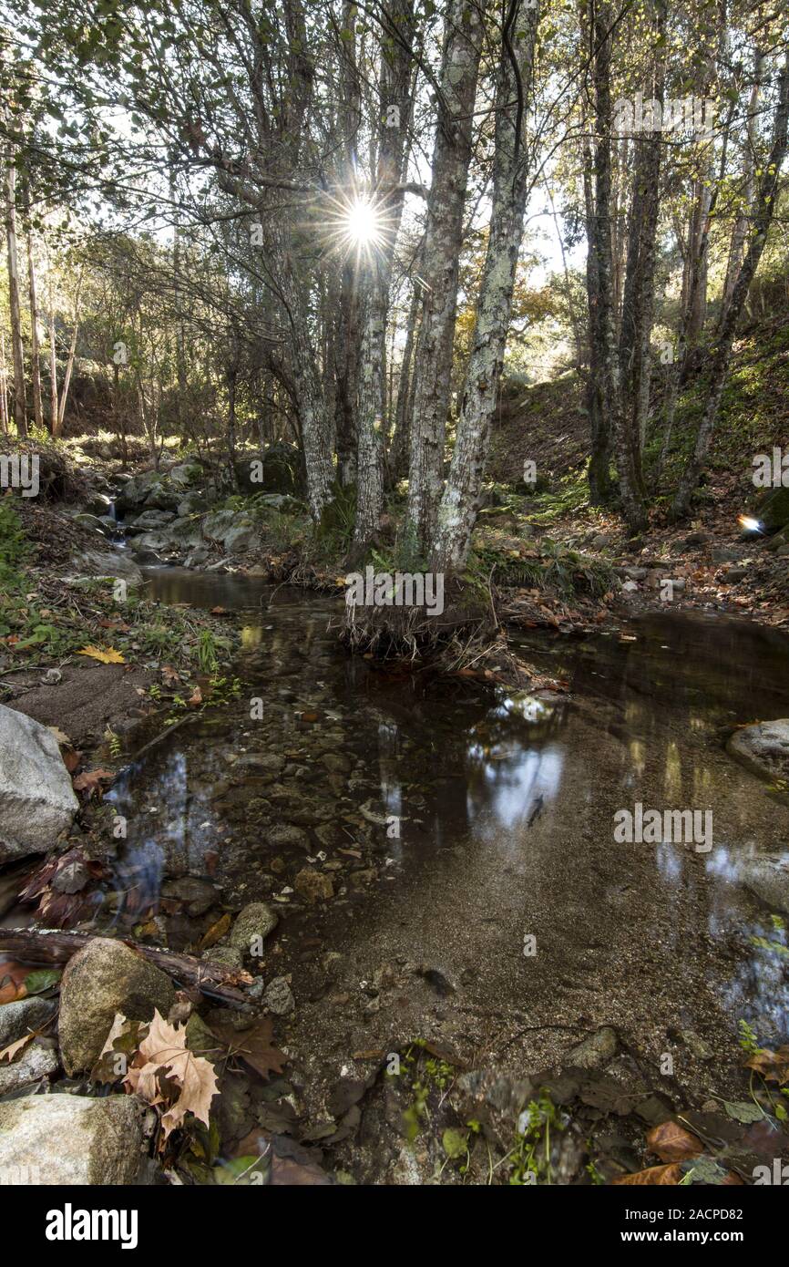 Creek harmony hi-res stock photography and images - Alamy