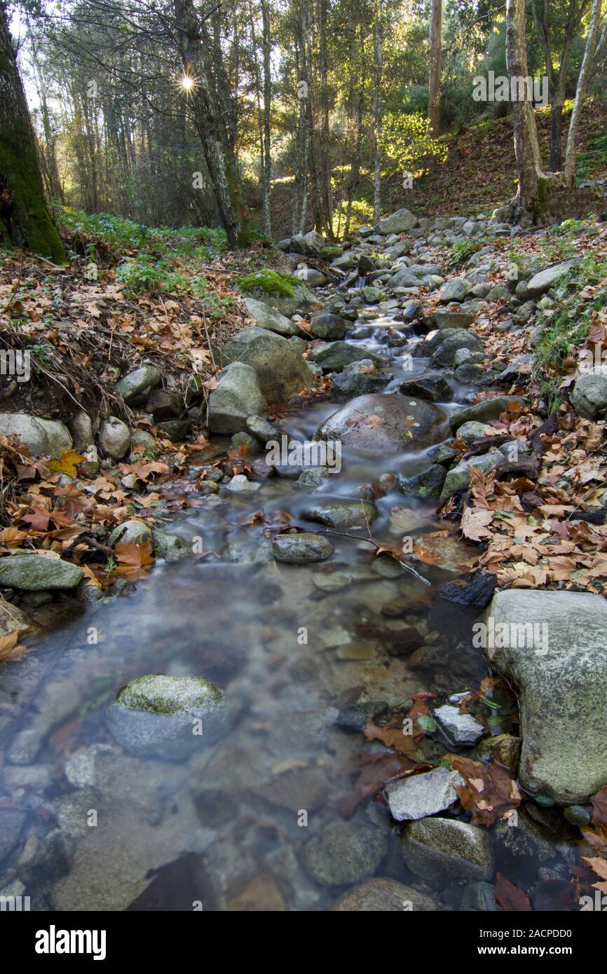 Creek harmony hi-res stock photography and images - Alamy
